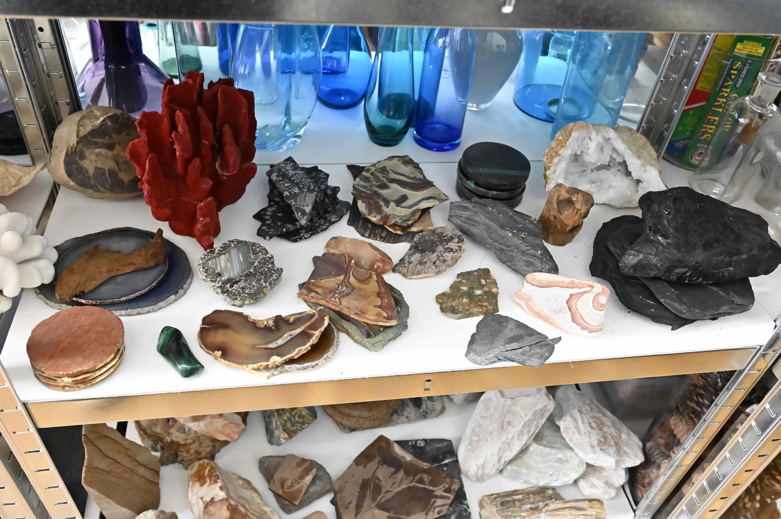 ROCKS, SHELLS + MINERALS — PROP HAUS