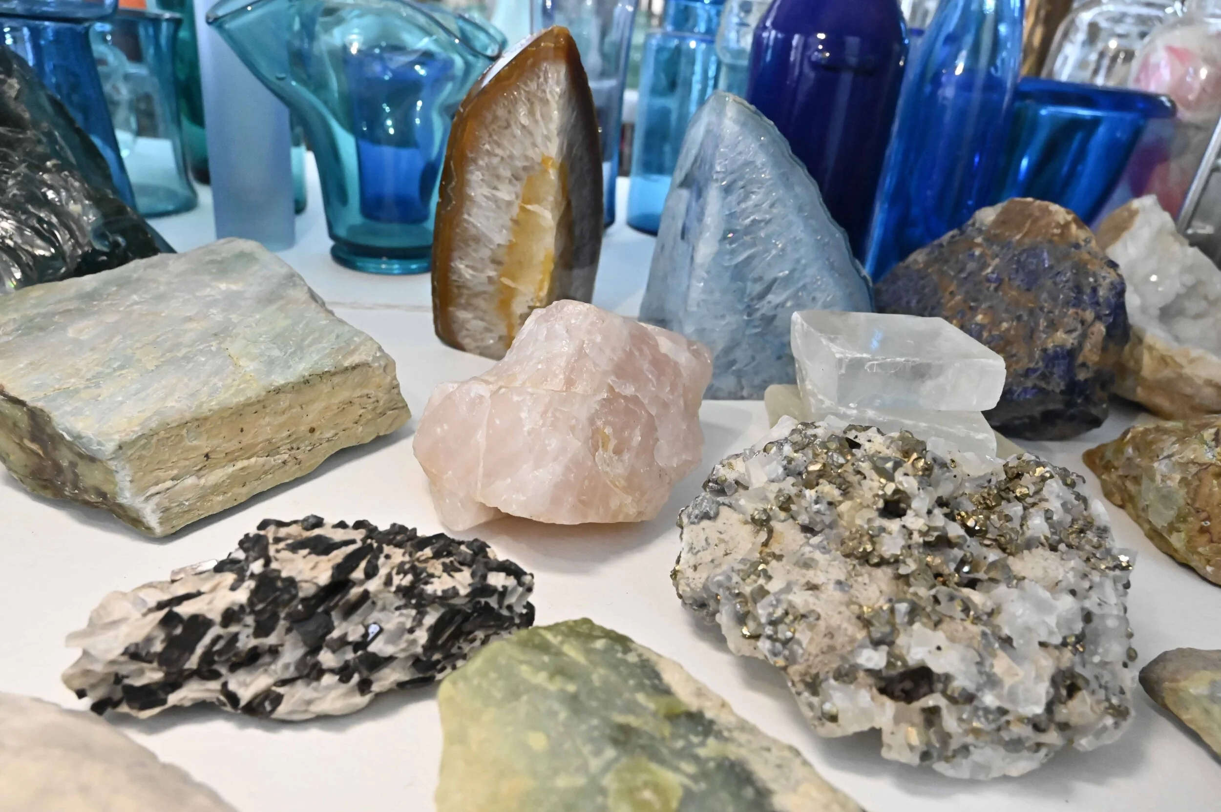ROCKS, SHELLS + MINERALS — PROP HAUS