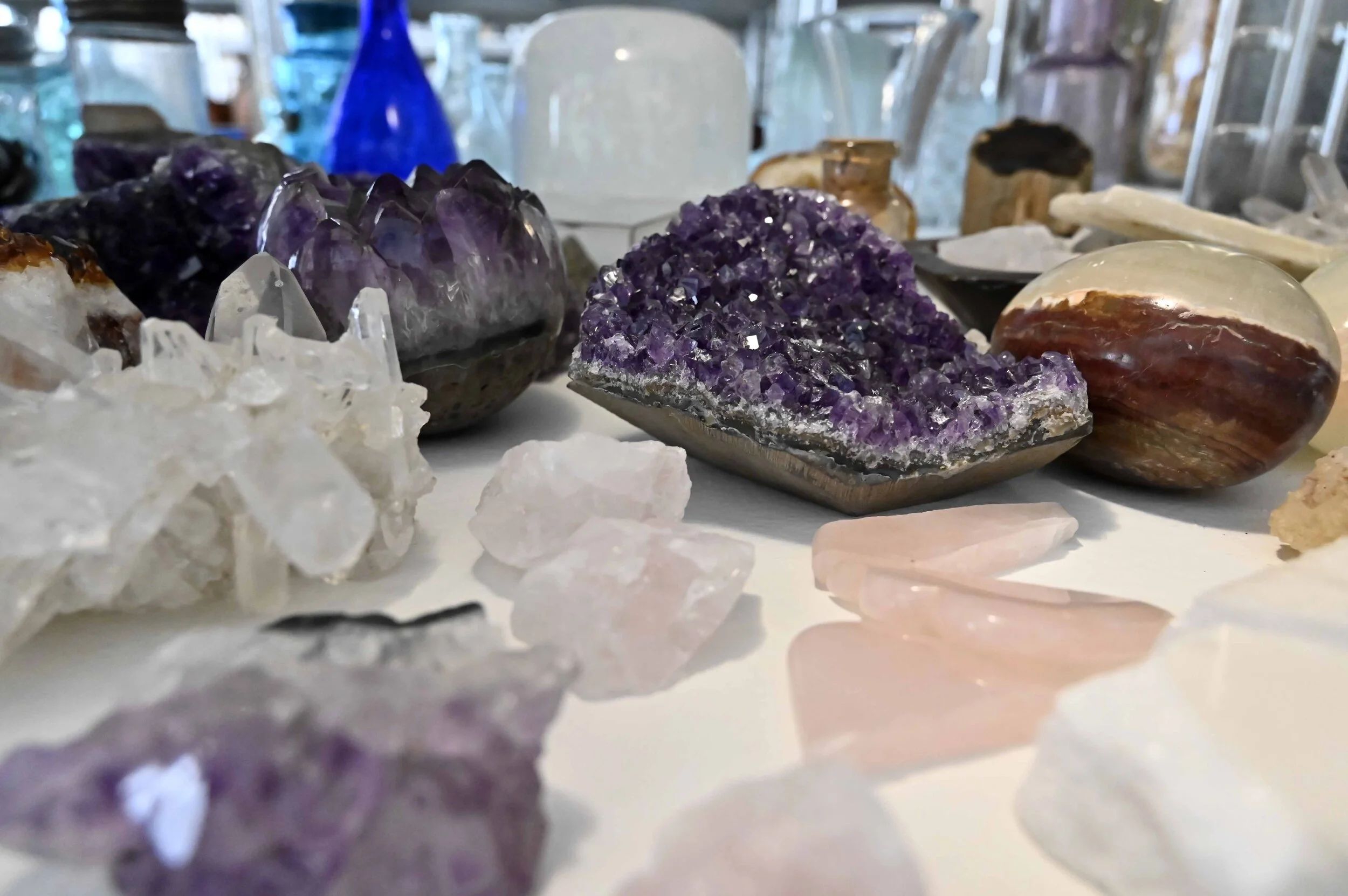 ROCKS, SHELLS + MINERALS — PROP HAUS