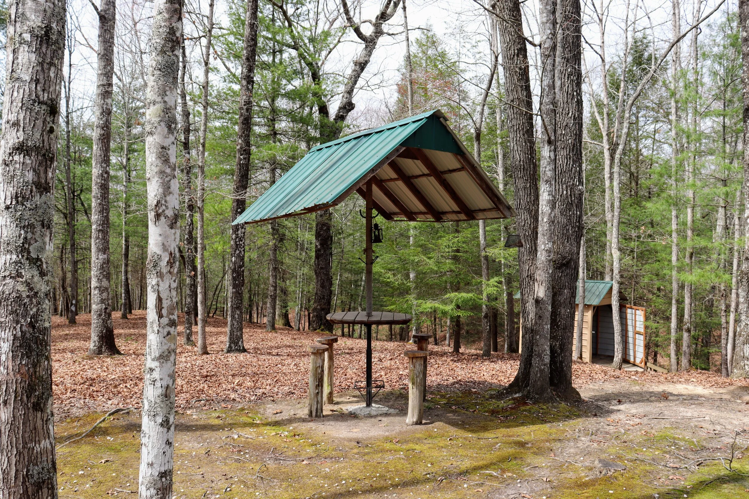 Trailhead Treasure | 1br — Laurel Fork Rustic Retreat — Laurel Fork ...