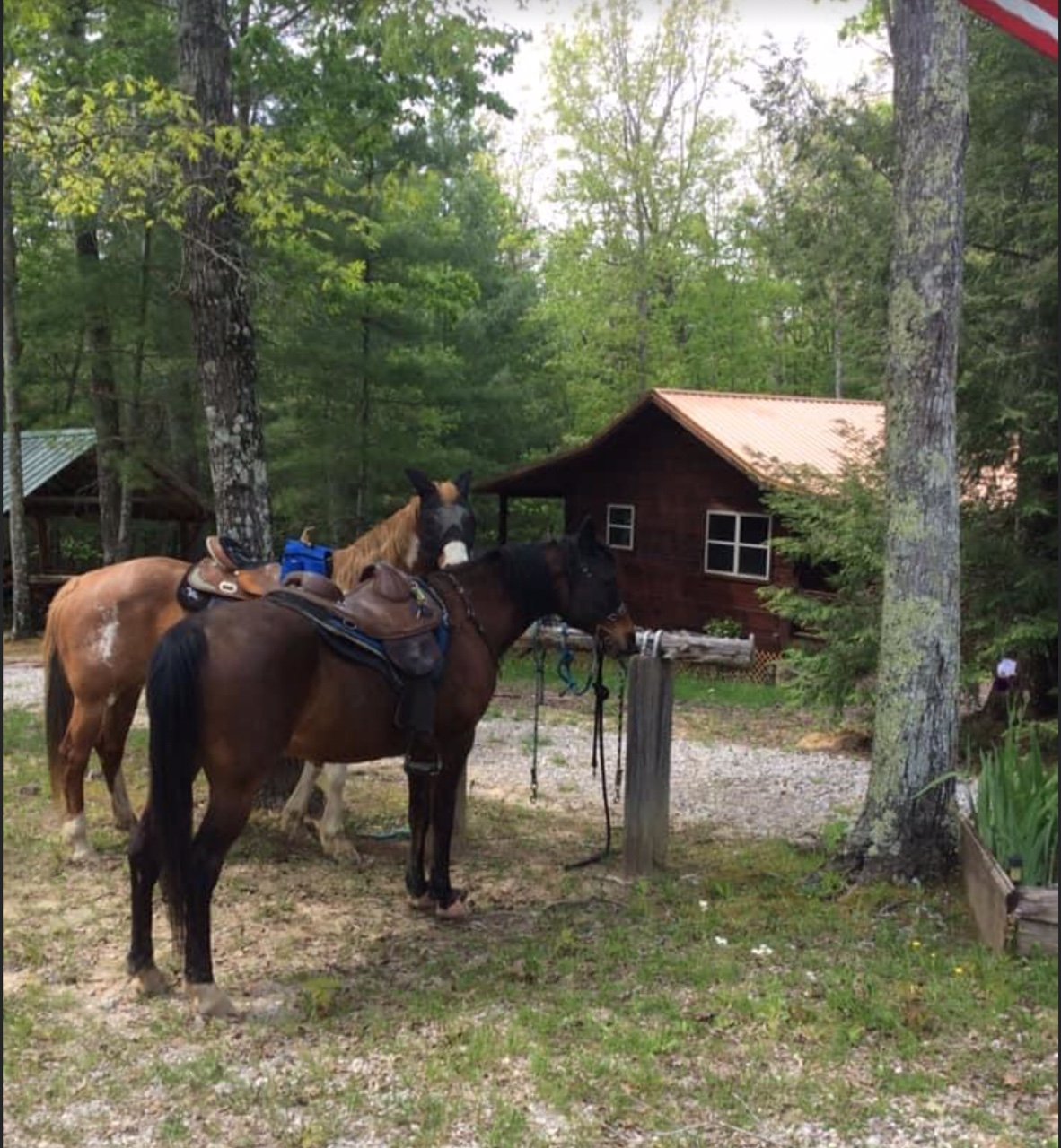 Trailhead Treasure | 1br — Laurel Fork Rustic Retreat — Laurel Fork ...