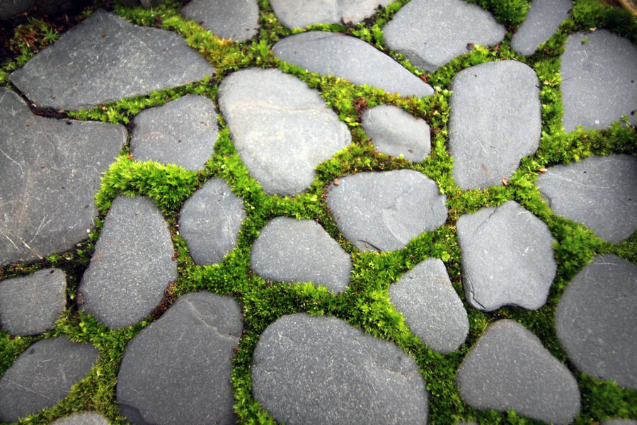 Flagstone Patio Moss