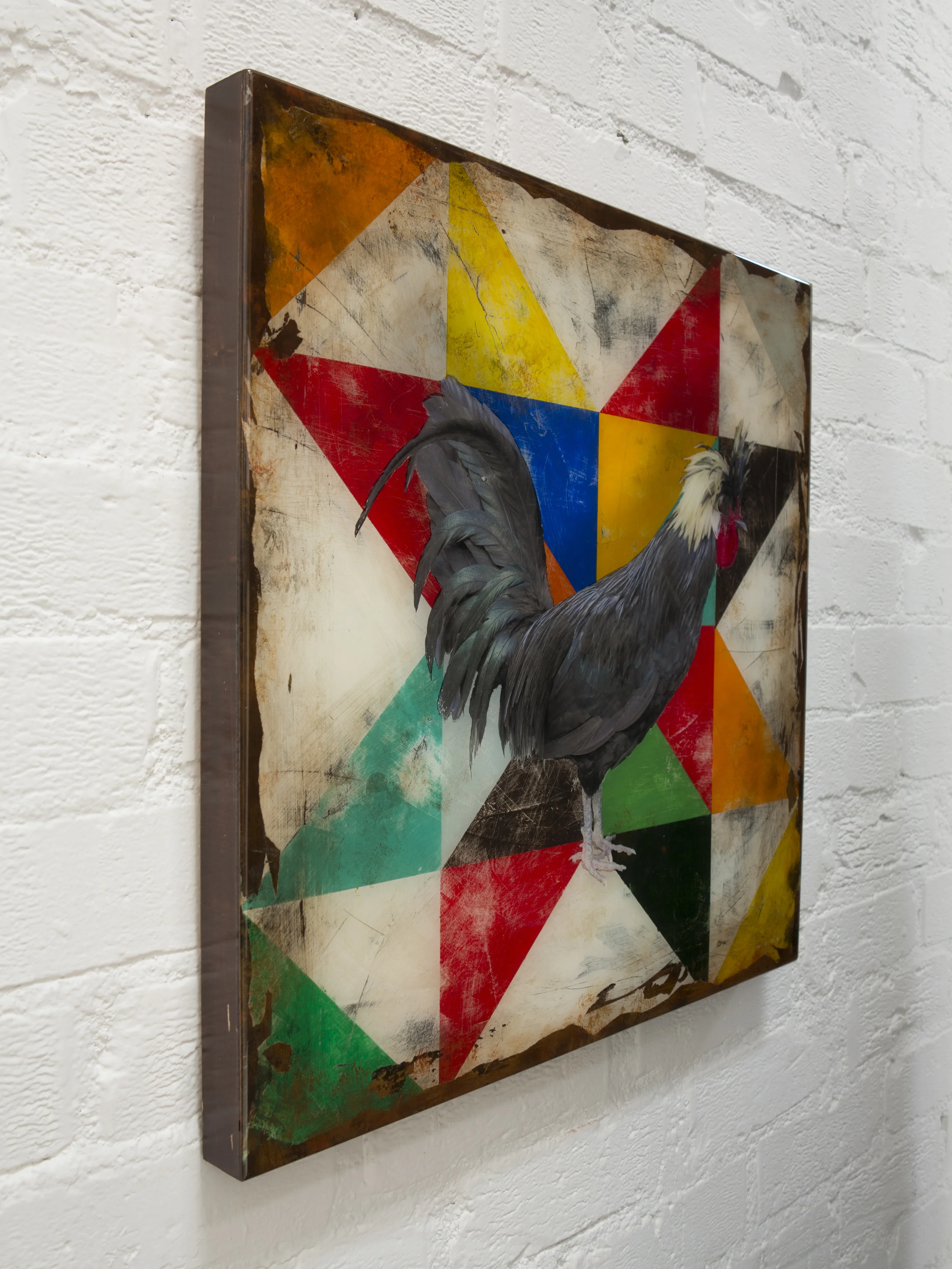 COLOR Primary Hen — MIKE WEBER