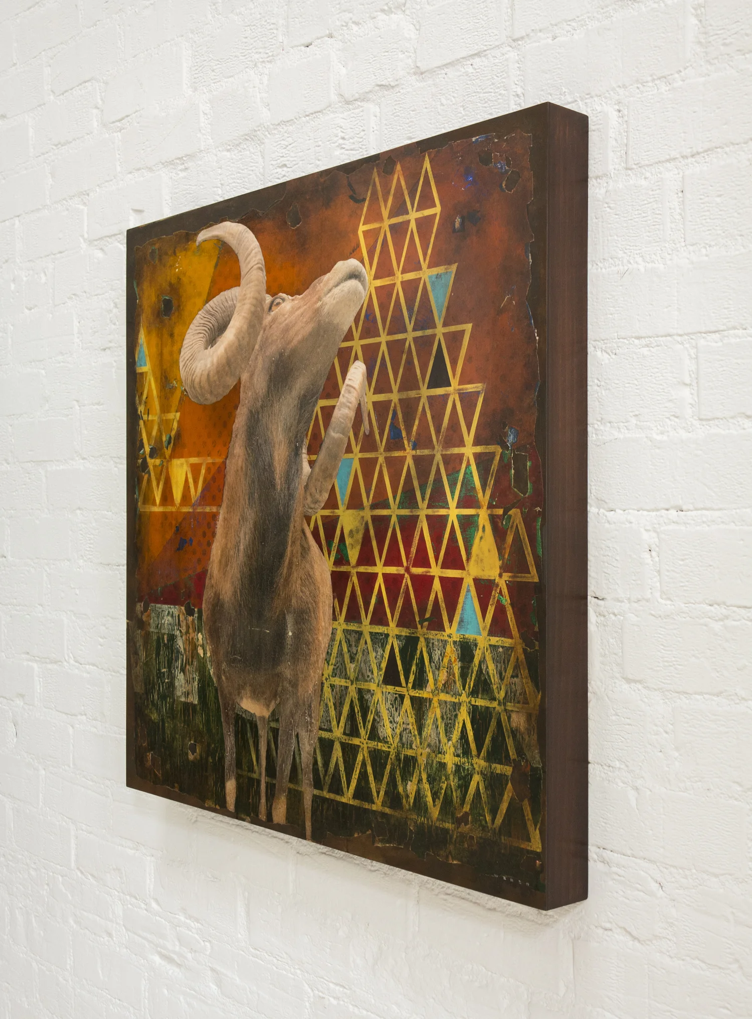 COLOR Warrior — MIKE WEBER