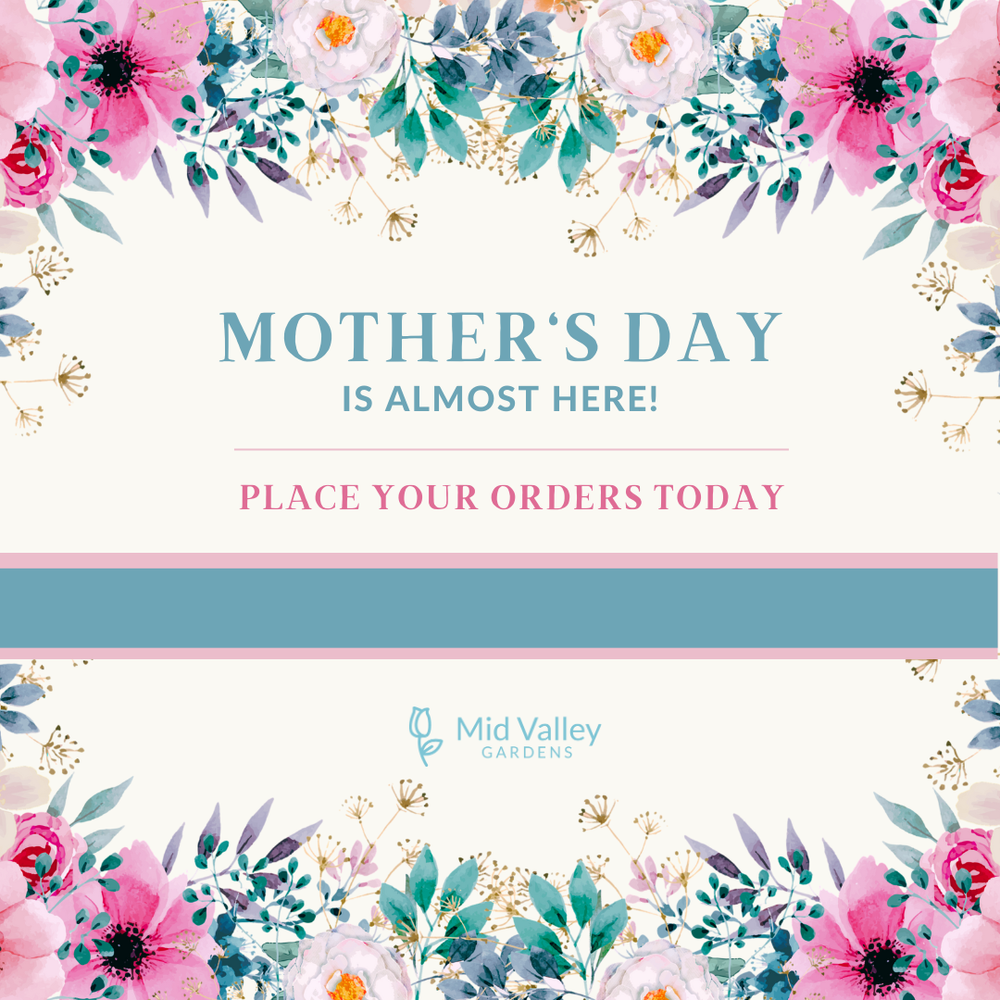 Mid Valley Gardens Ltd.