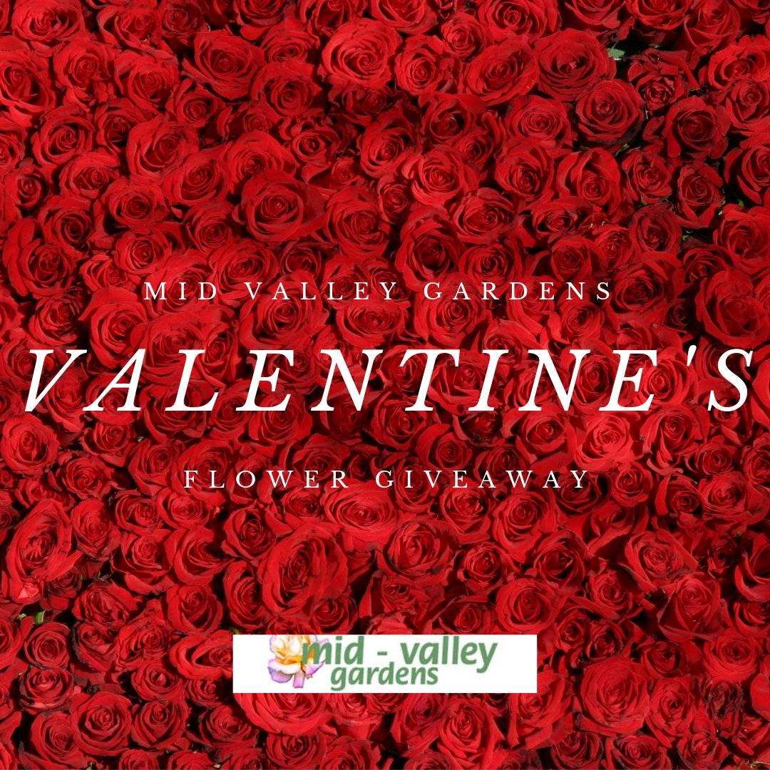 Mid Valley Gardens Ltd.