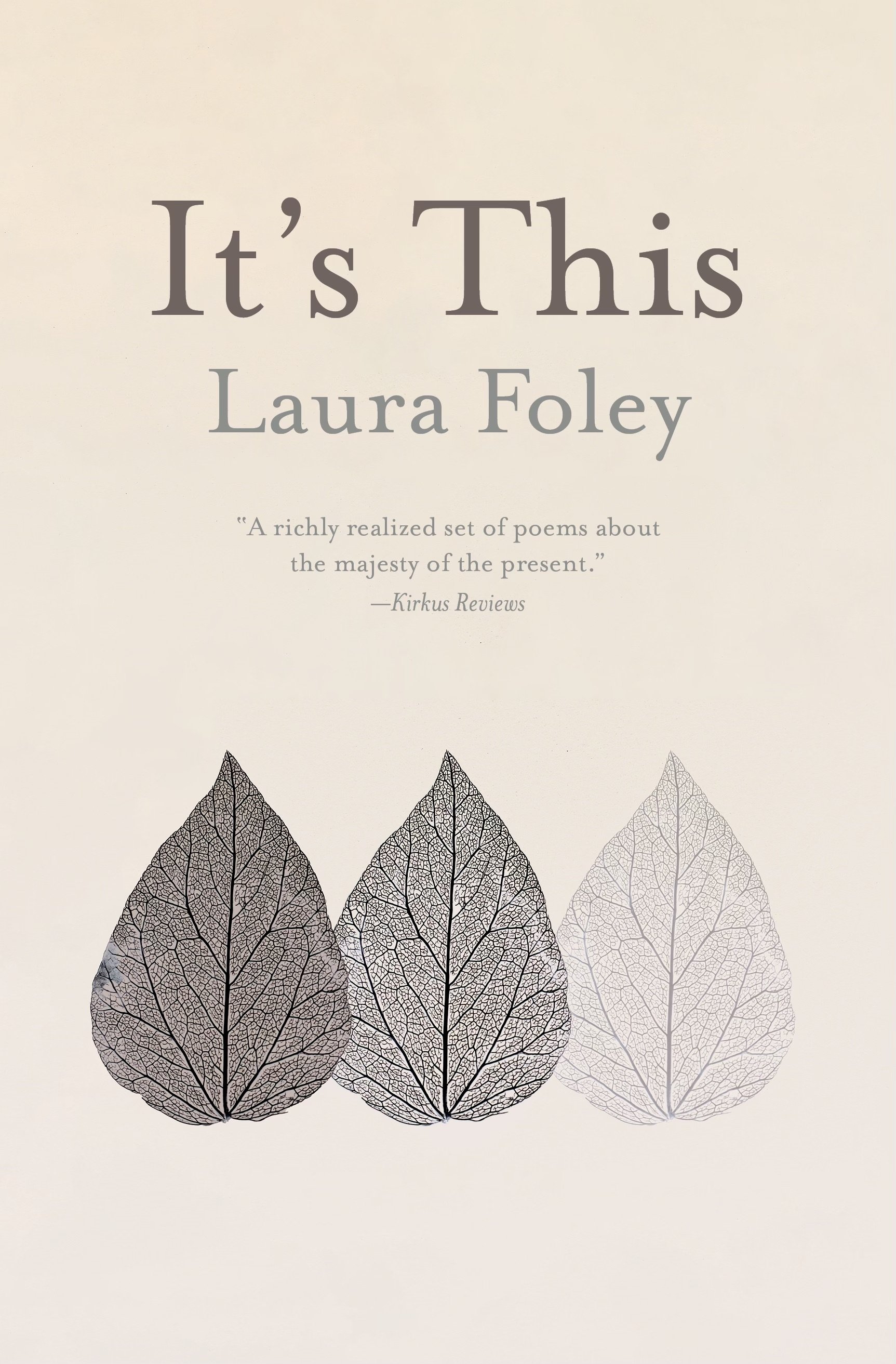 Books — Laura Foley