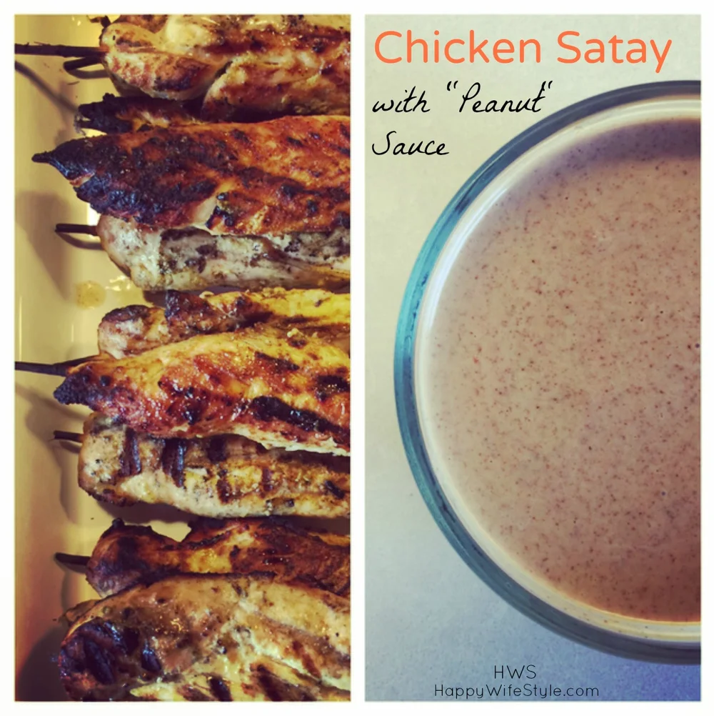 Chicken Satay with "Peanut" Dipping Sauce — Happy WifeStyle™