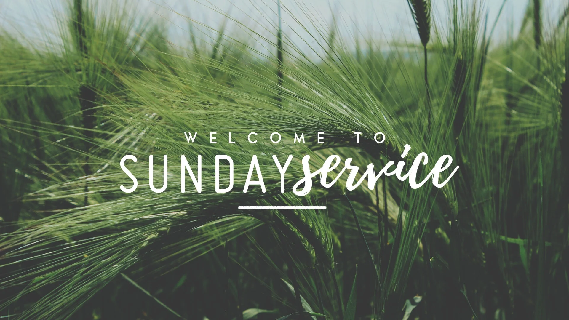 Sunday Worship Service