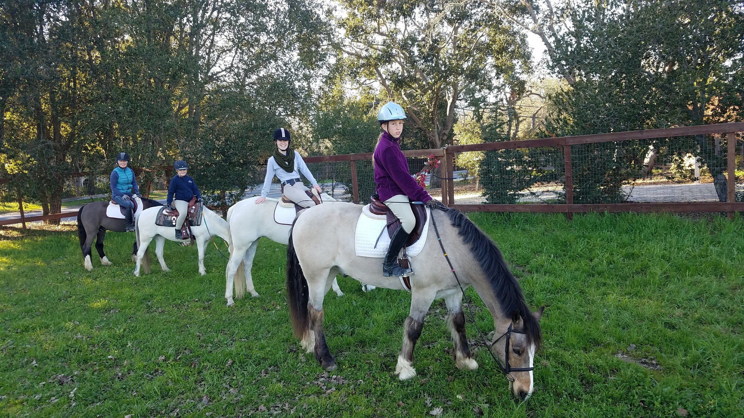 Horse Riding Bay Area — Heather Hill Riding Center | Horseback Riding ...