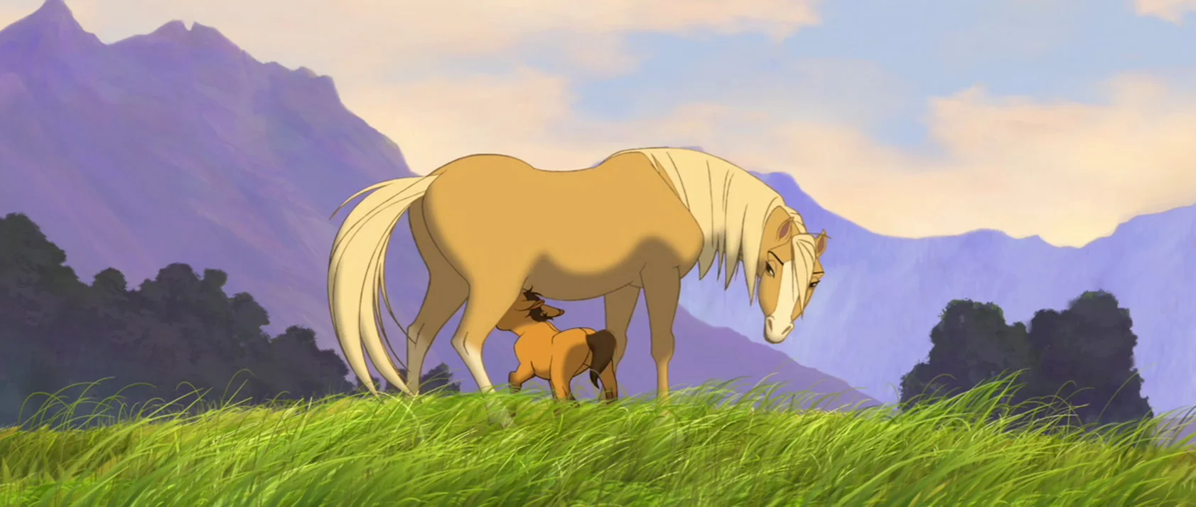 Spirit Stallion Of The Cimarron Strider