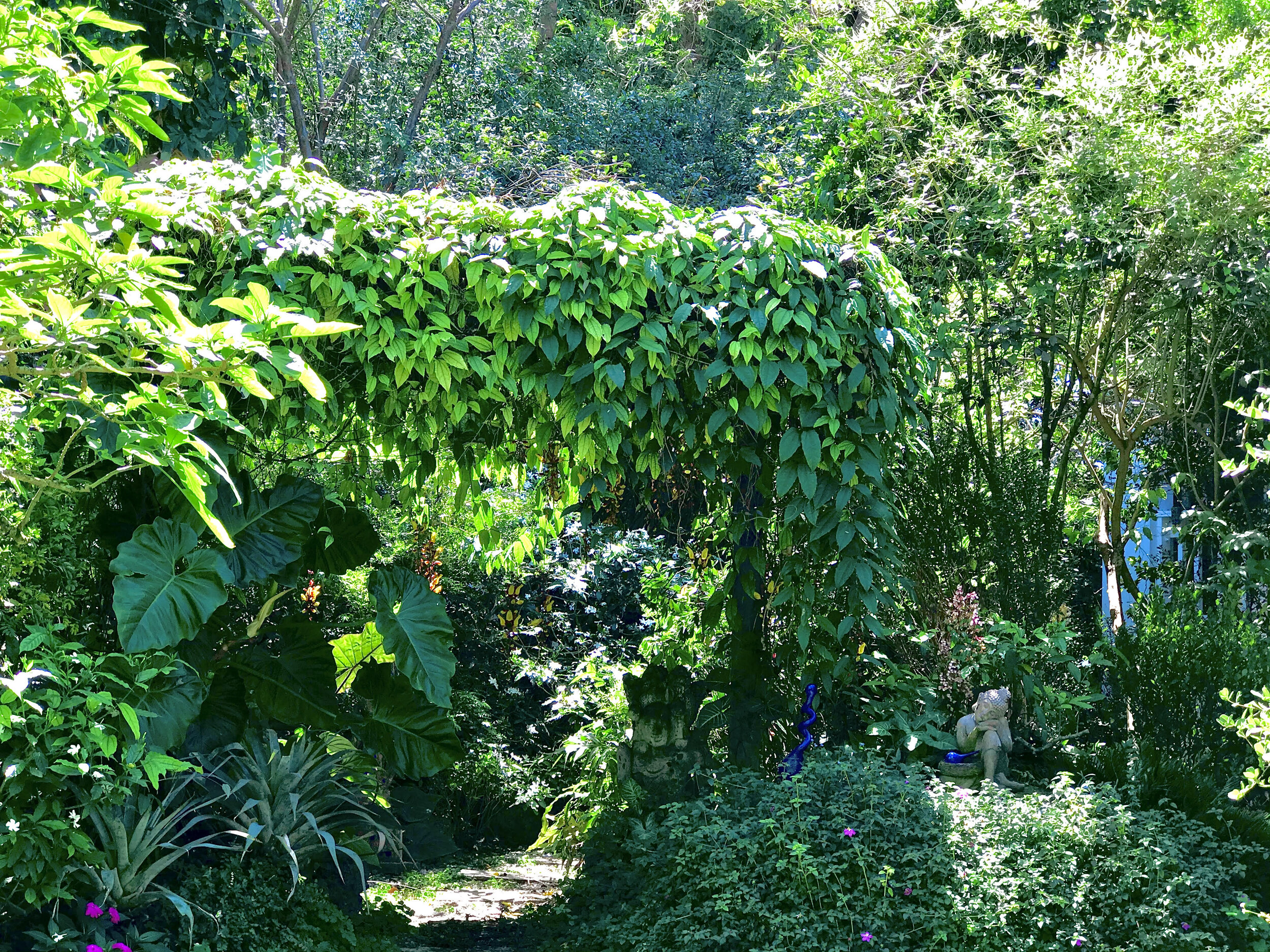 La Casona Garden