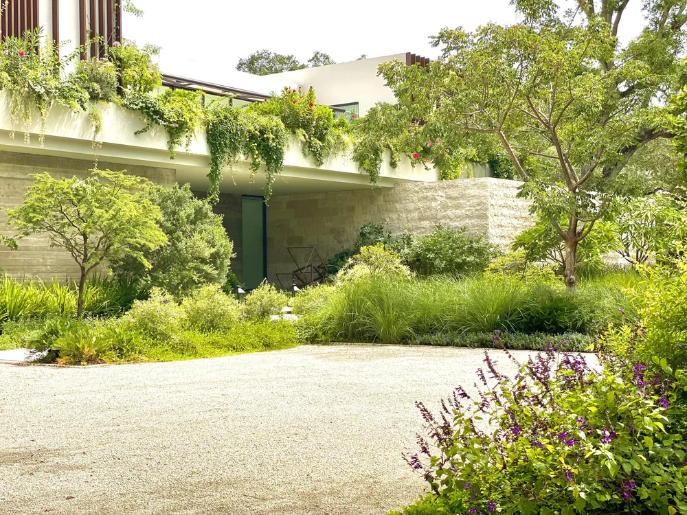 Vanguardia Sub-Tropical — La Casona Garden