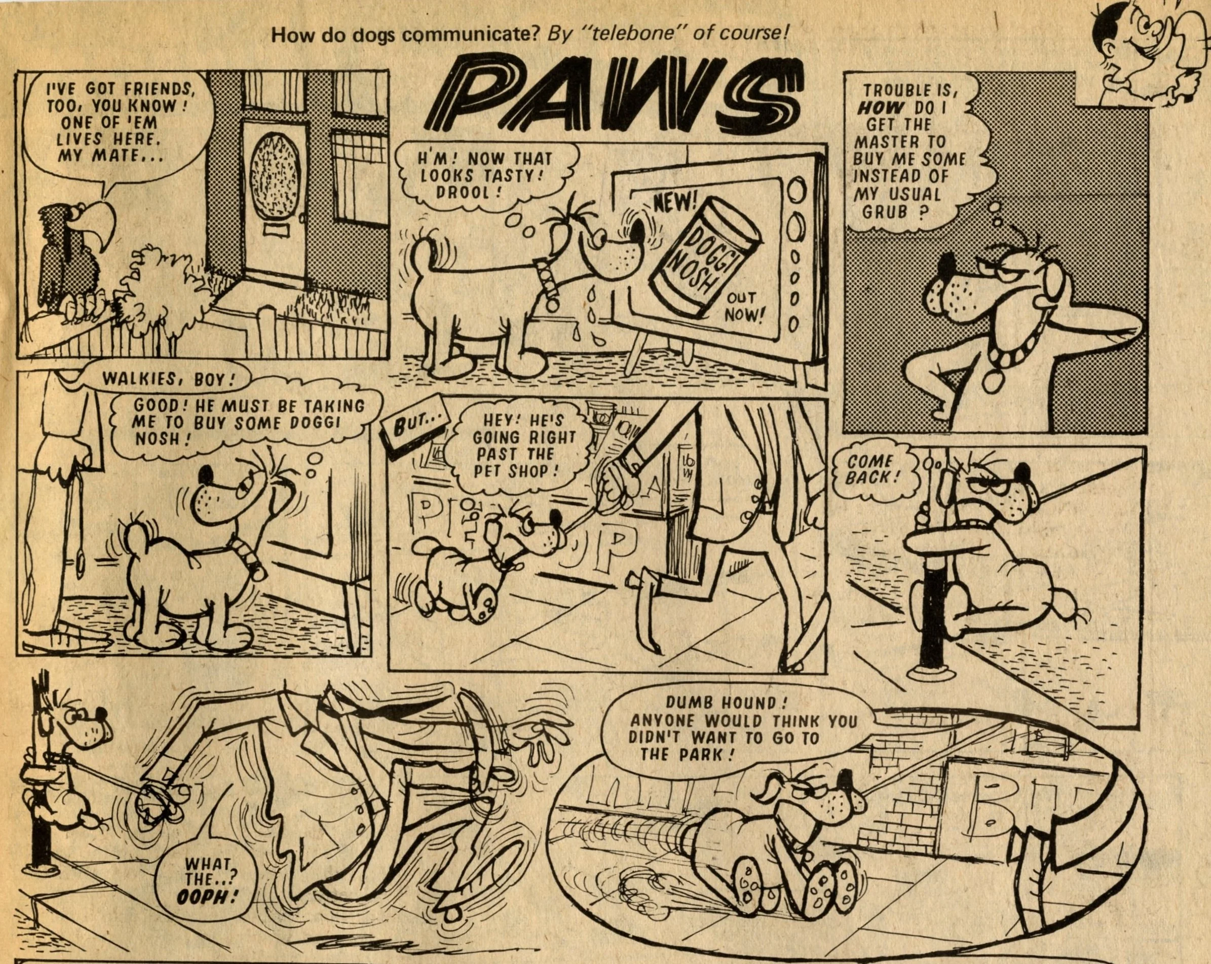 On this day, 16 October 1976: Krazy — GREAT NEWS FOR ALL READERS!