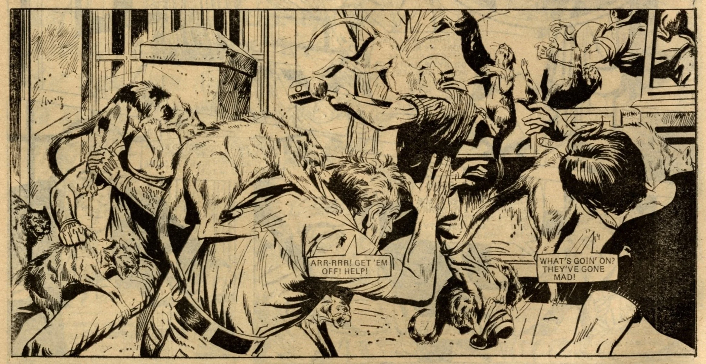 On this day, 21 October 1978: Misty — GREAT NEWS FOR ALL READERS!