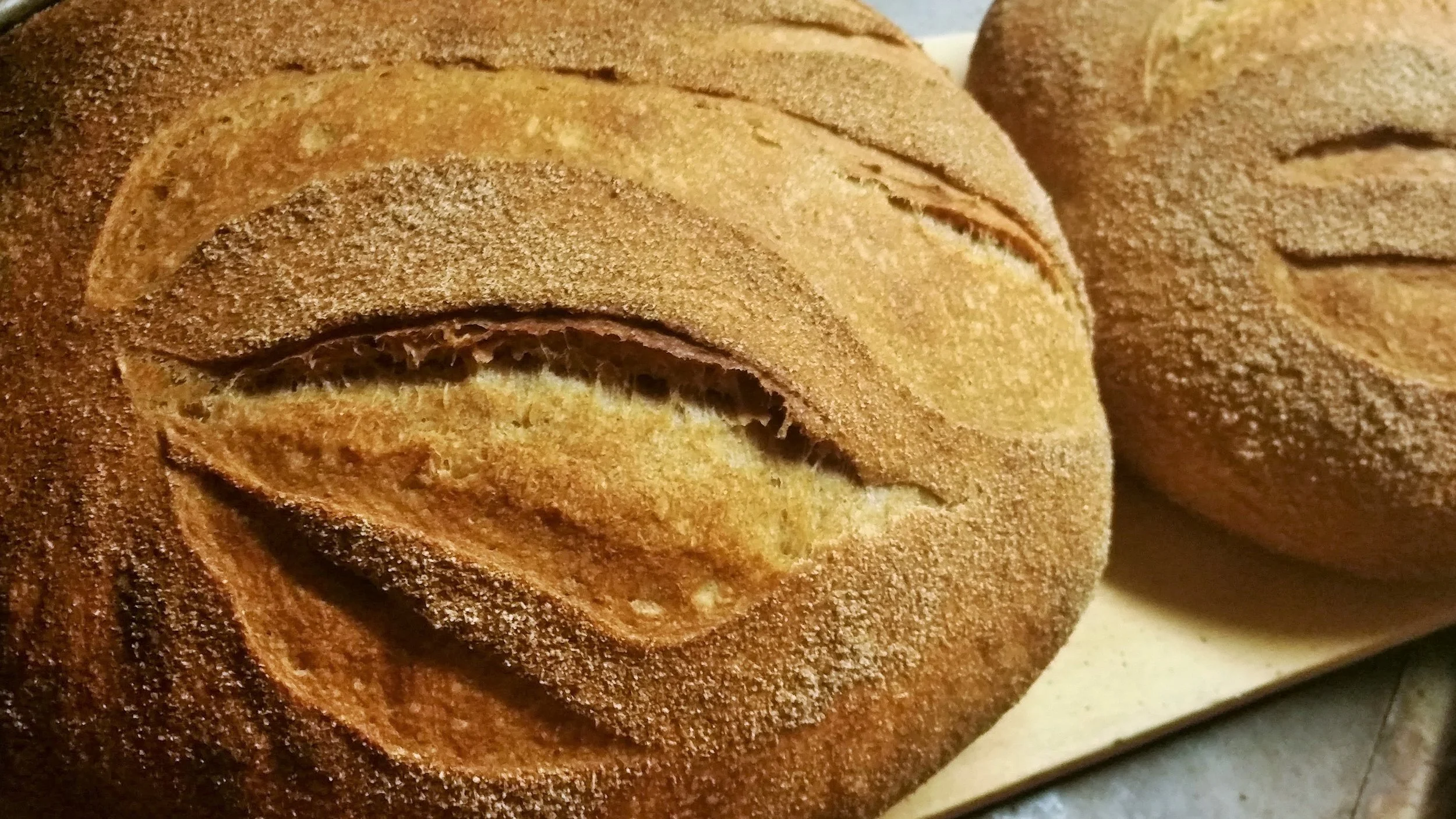 Breads — Brazen Baking