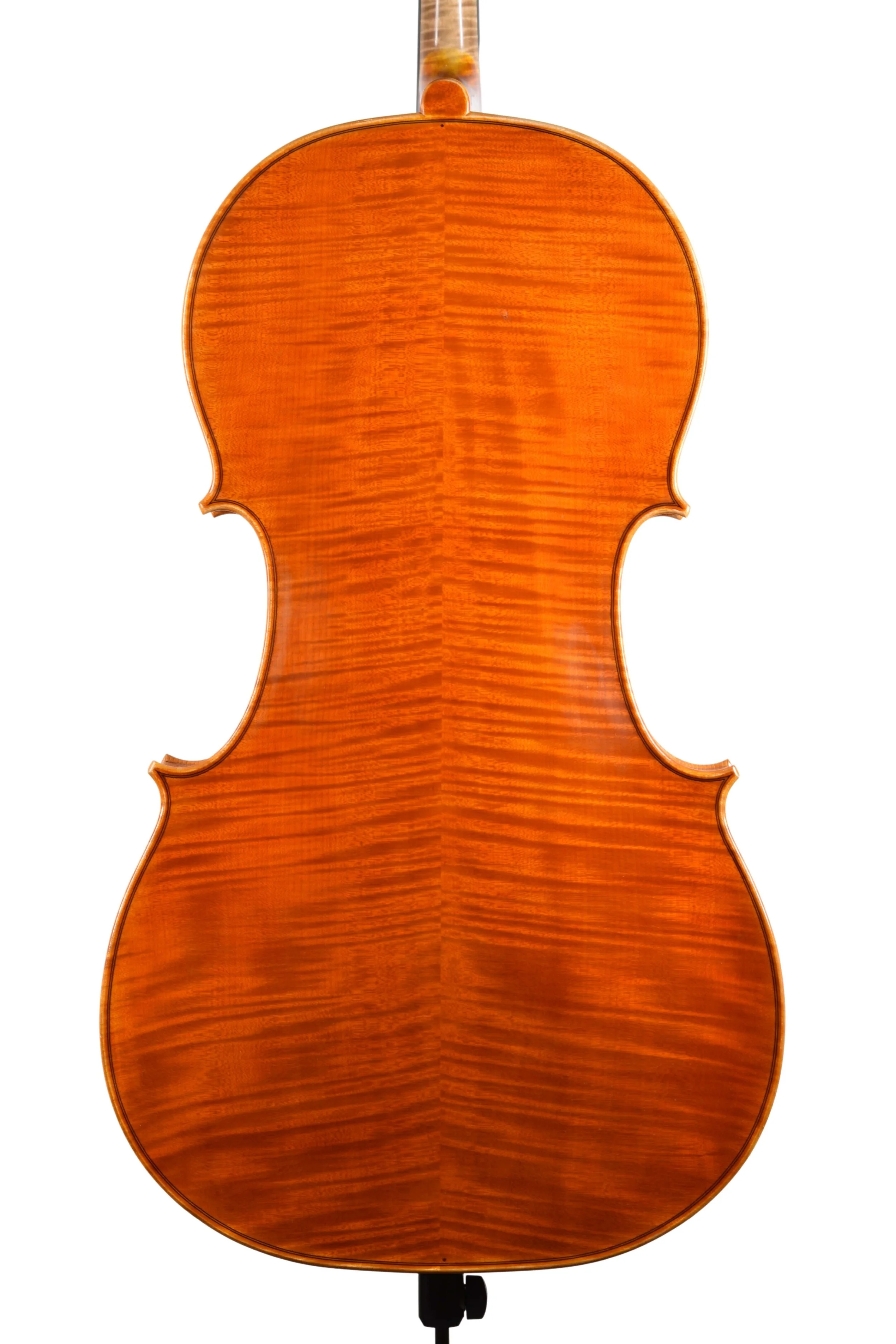 Nicola Zurlini Cello