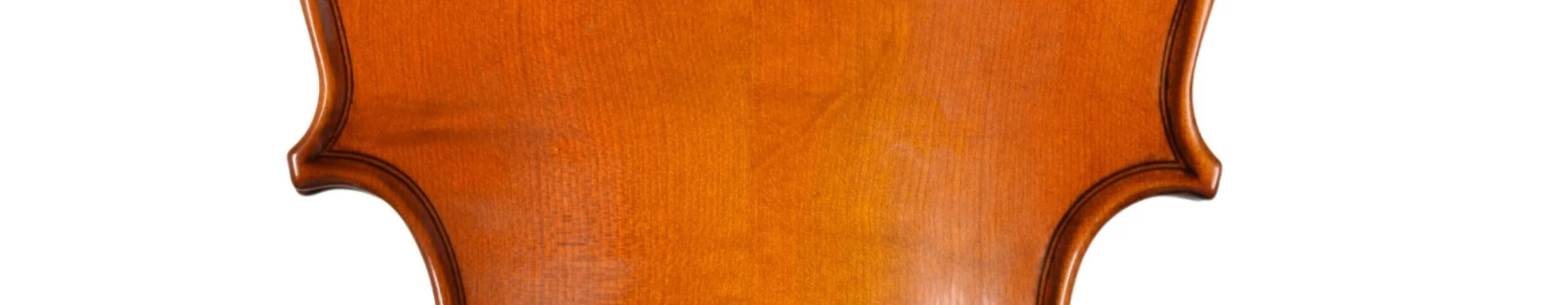 Beginner Violin Outfit