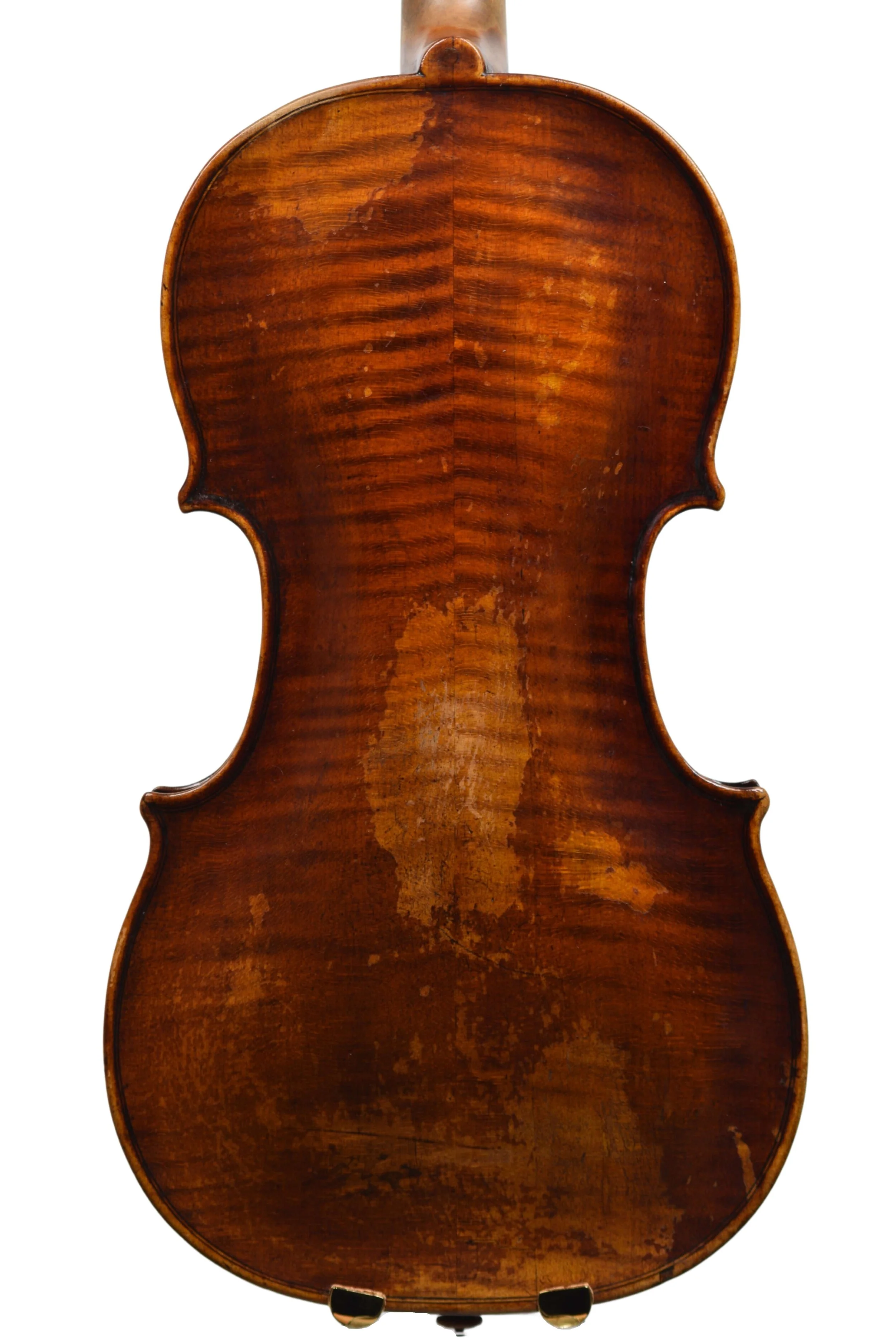Violin by Martin Mathias Fichtl II