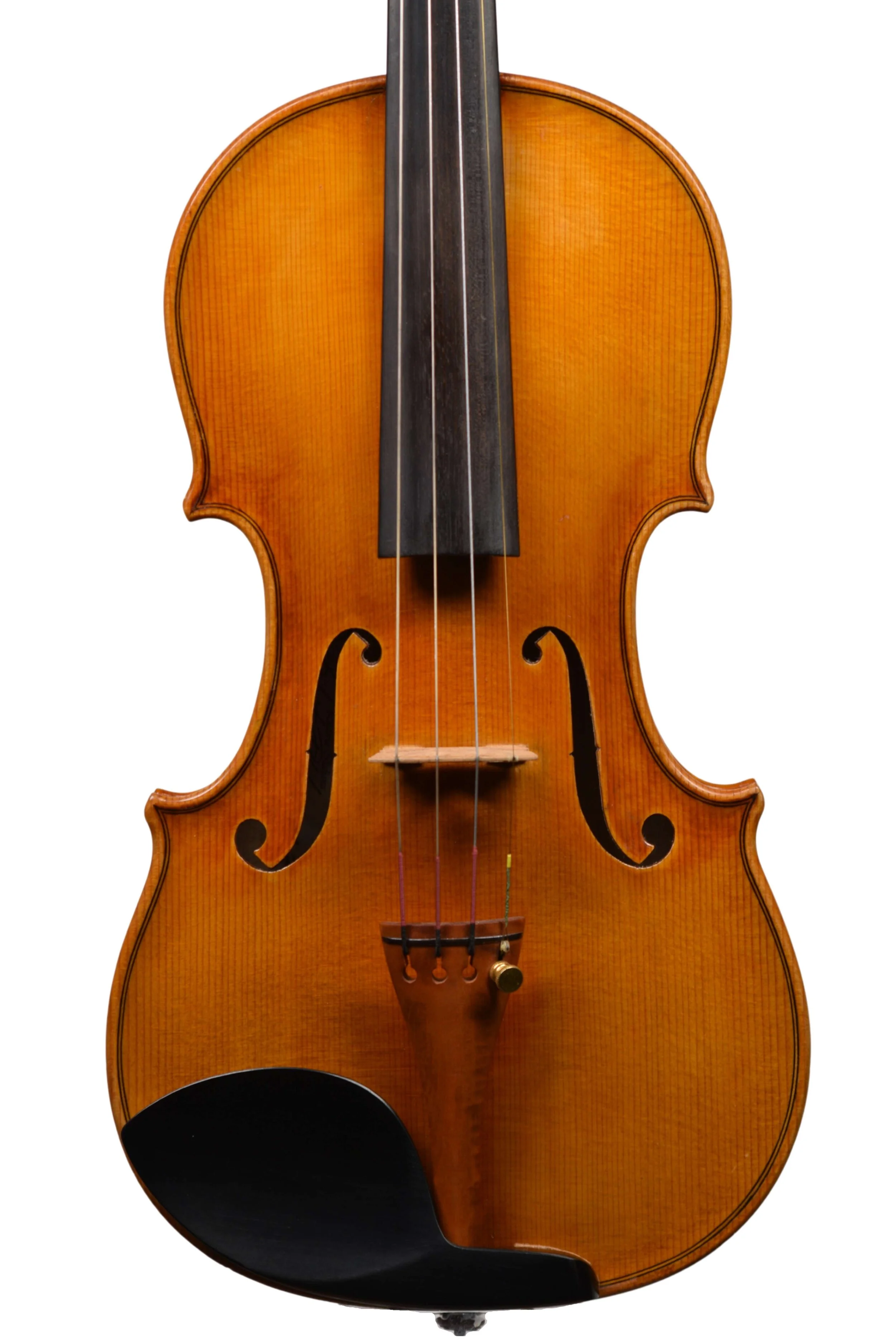 Andrea Pontedoro Violin