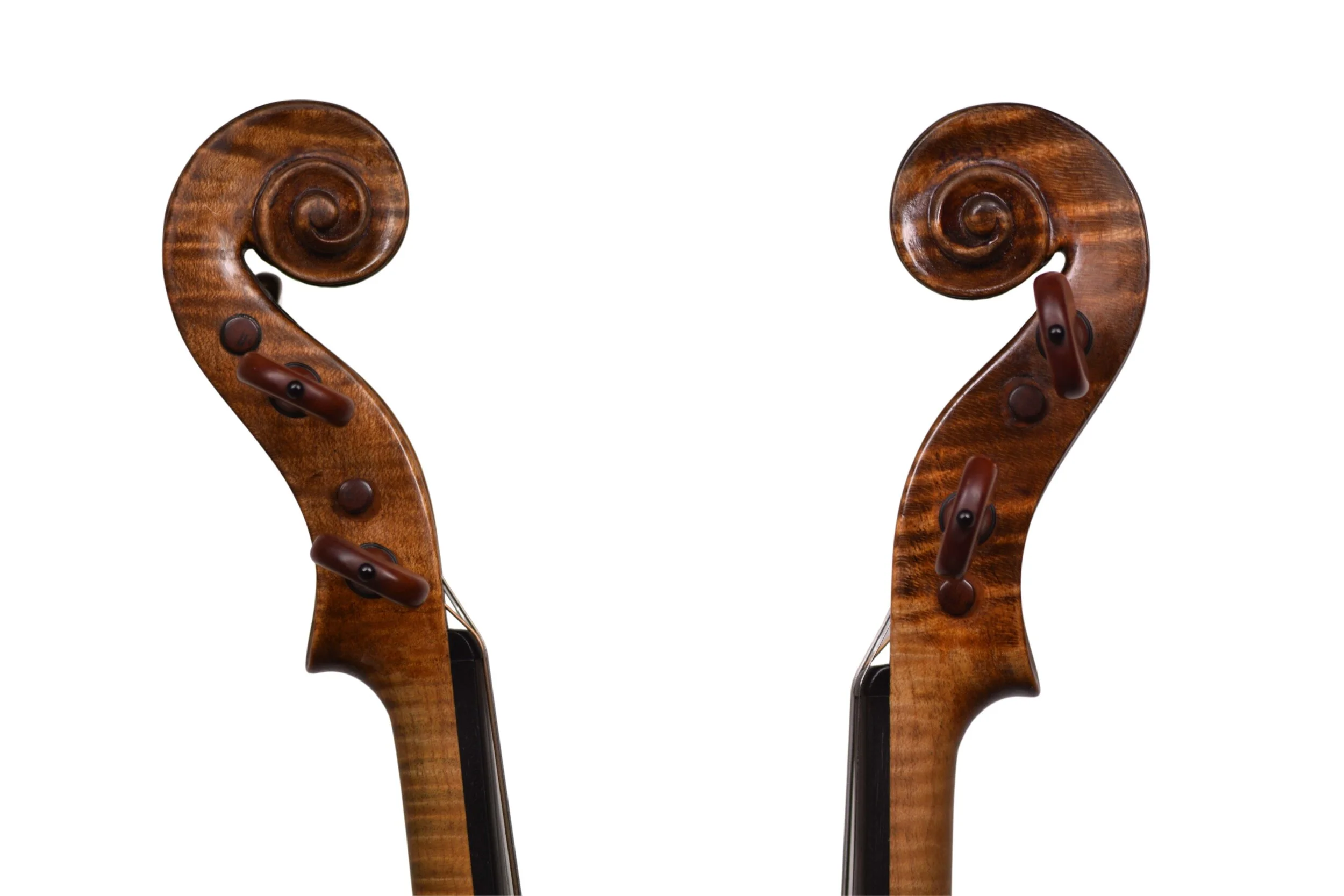 Violin by Vincenzo Postiglione II