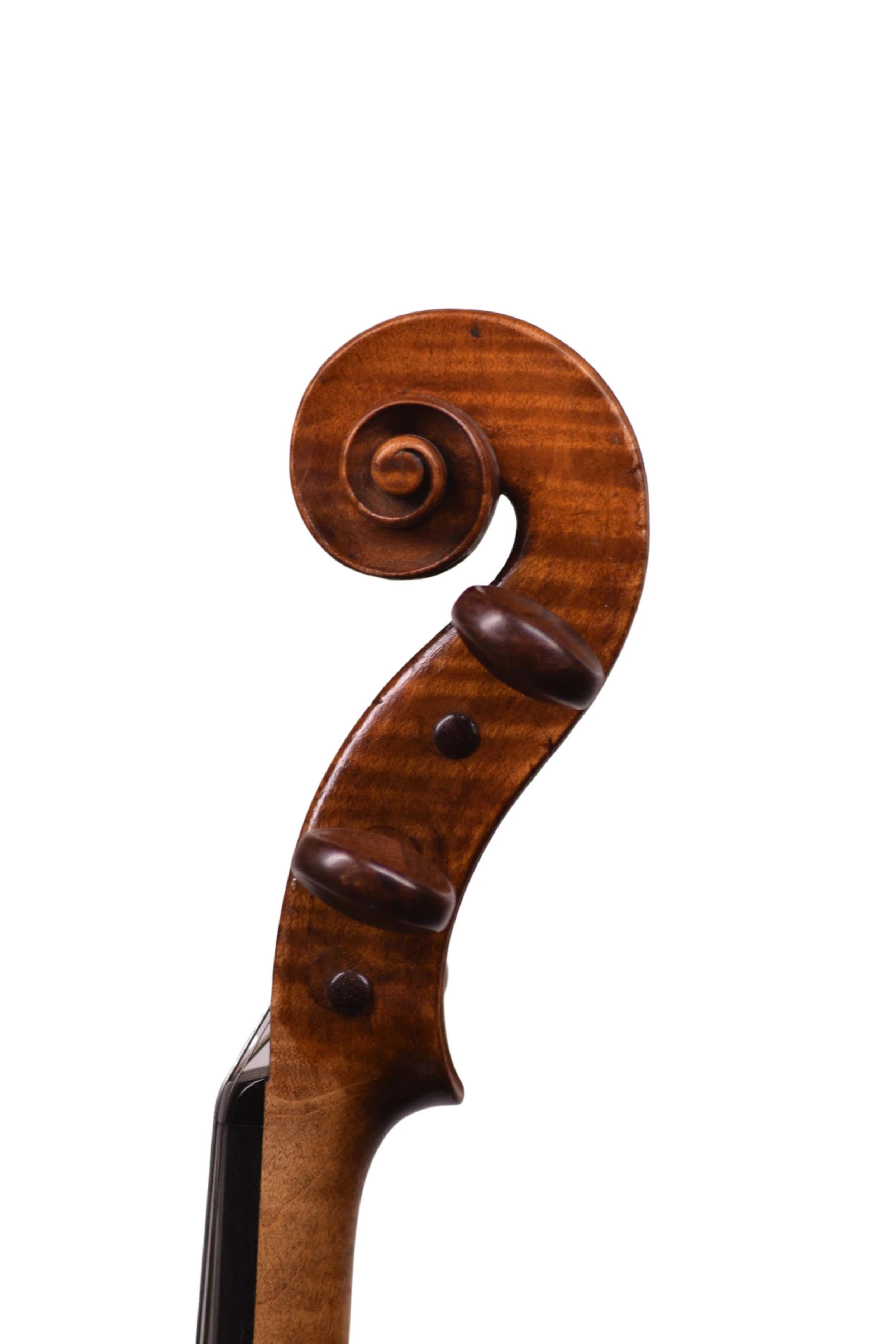 Violin by John Johnson