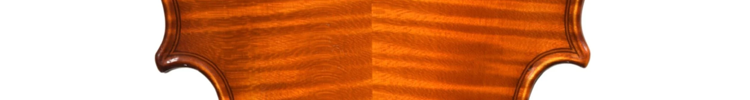 Violin by Luigi Salsedo 1927