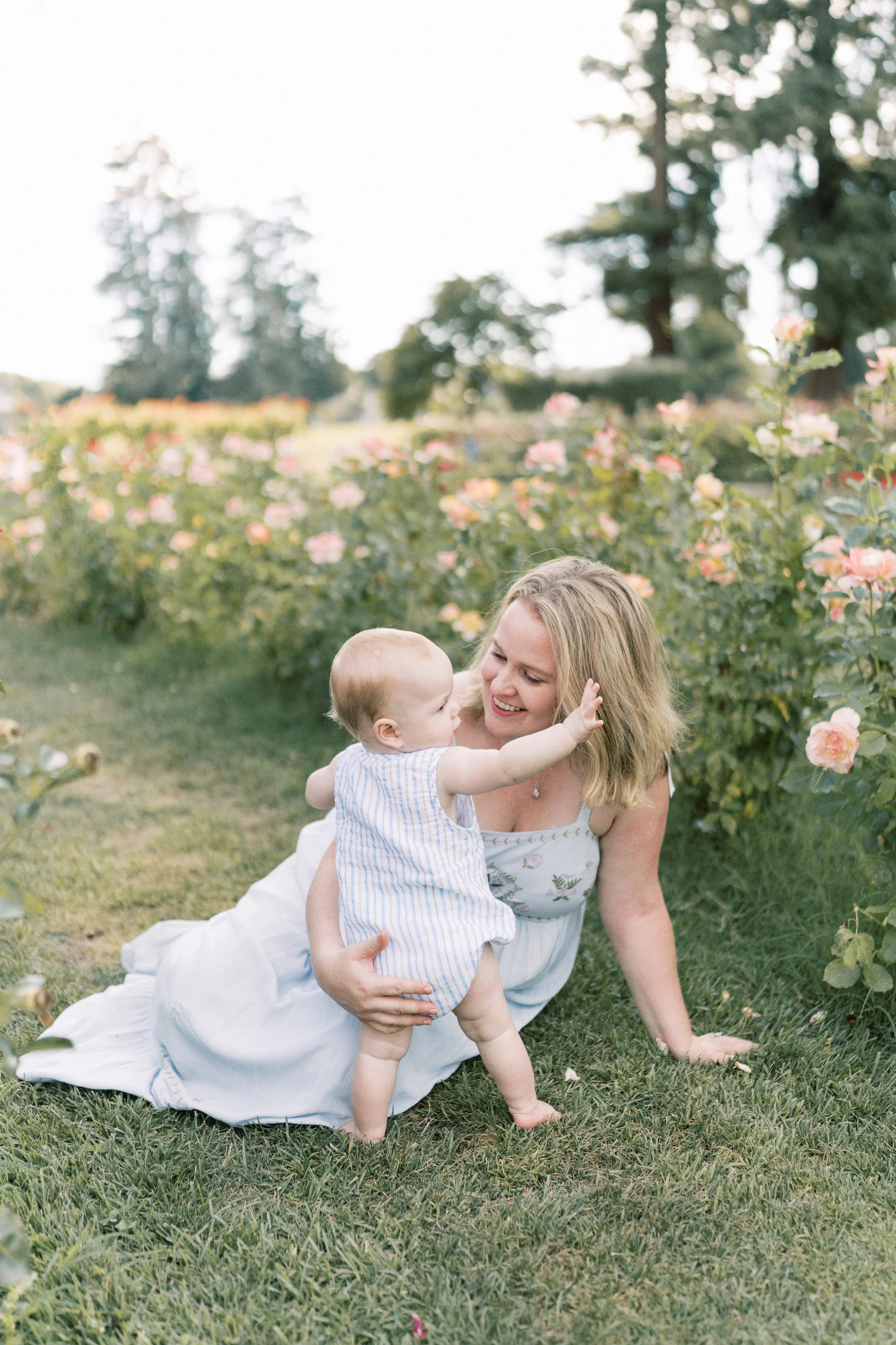 Allison Menke Photography: Bay Area Family Photographer — San Jose ...