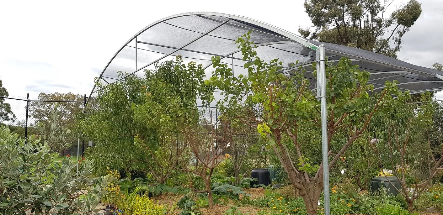 Single Arched Netted Structures — Key Permaculture & Constructions