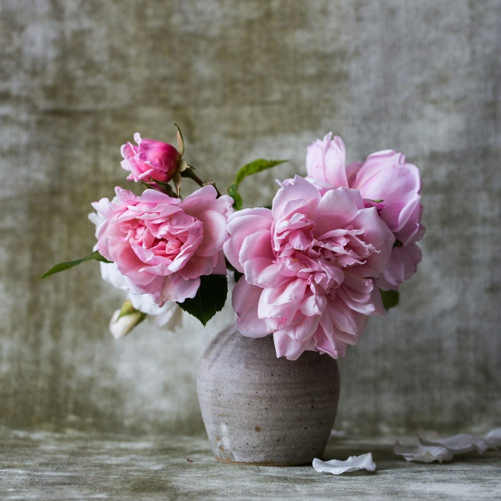 Receiving the Ashes of a Loved One | A Gentle Guide For When The Ashes ...