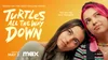 Turtles All the Way Down Movie — John Green