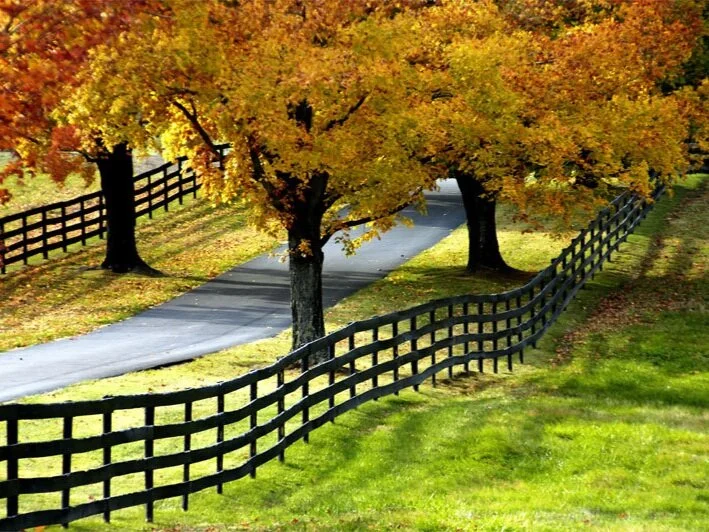 Horse Riding Trips, Vacations, and Holidays in the USA — Equescapes ...