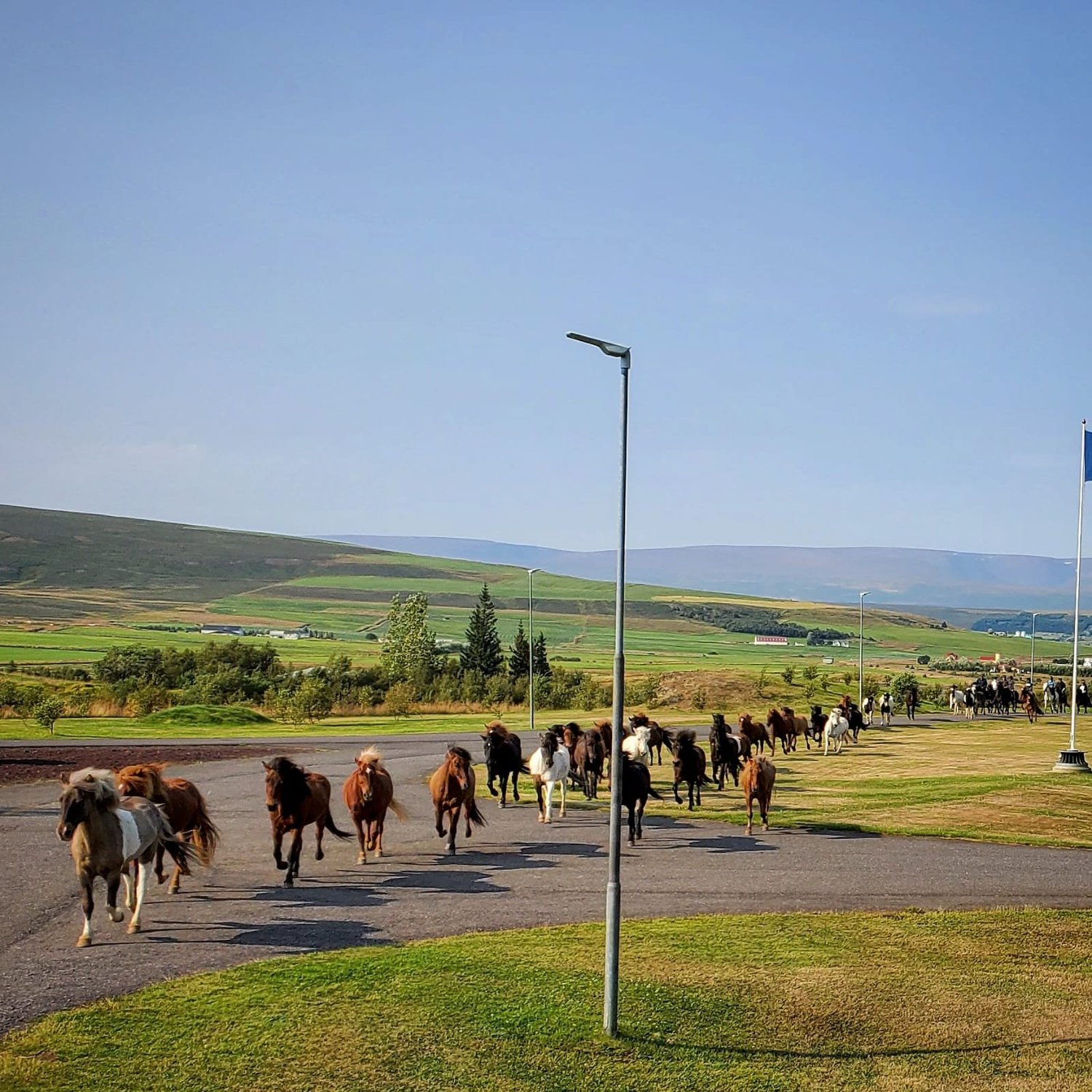 Iceland Horse Trek - Saltvik Tour — Equescapes Equestrian Adventures