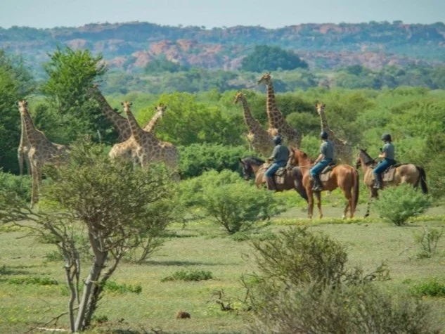 South Africa and Botswana - African Explorer Combination Safari on ...