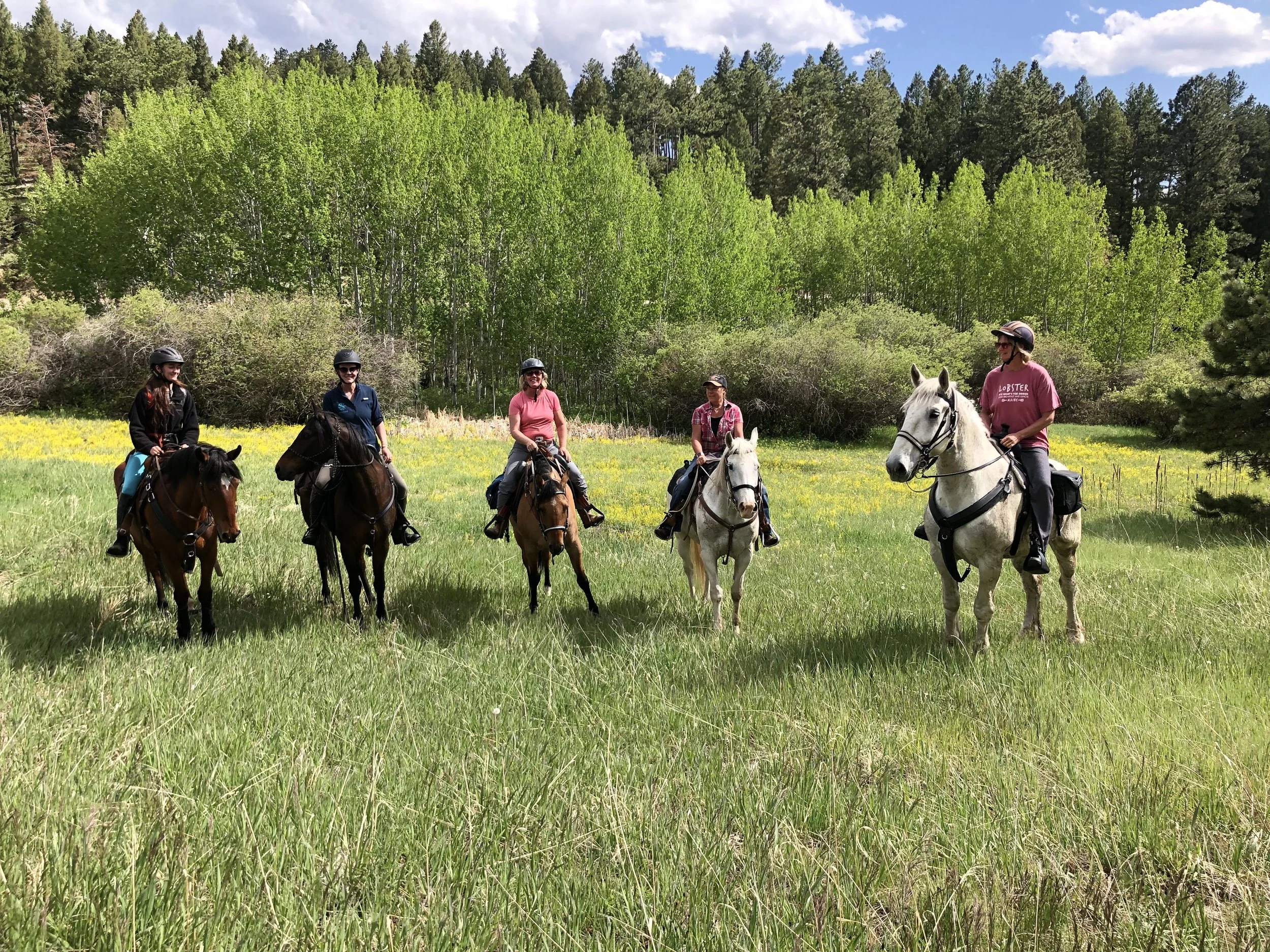 Colorado - Horse Camping Trip near Rocky Mountain National Park ...
