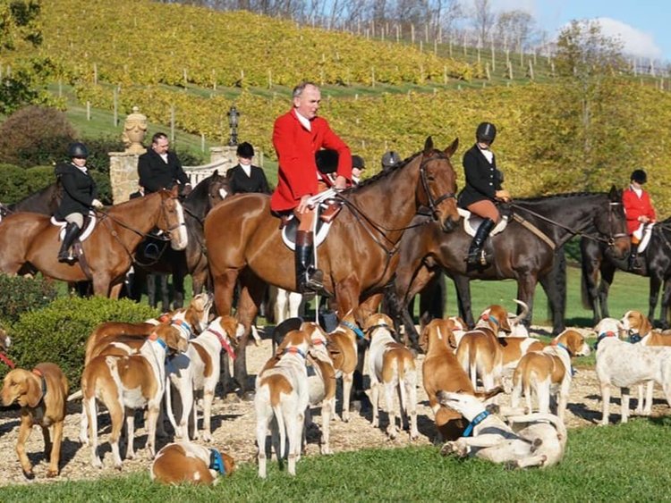 Foxhunt in Virginia — Equescapes Equestrian Adventures