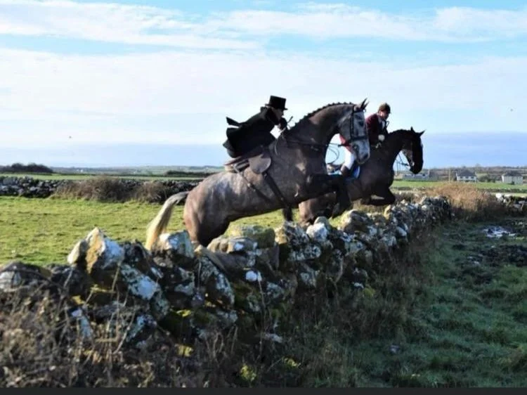Riding in Ireland - Horses and Hounds Foxhunting Tour — Equescapes ...