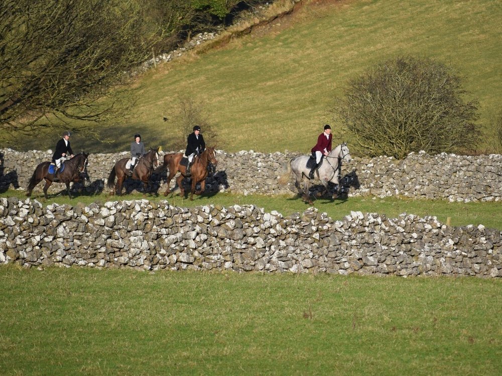 Riding in Ireland - Horses and Hounds Foxhunting Tour — Equescapes ...