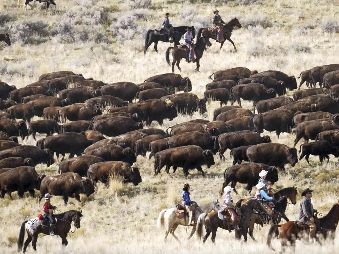 Horse Riding Trips in Utah — Equescapes Equestrian Adventures