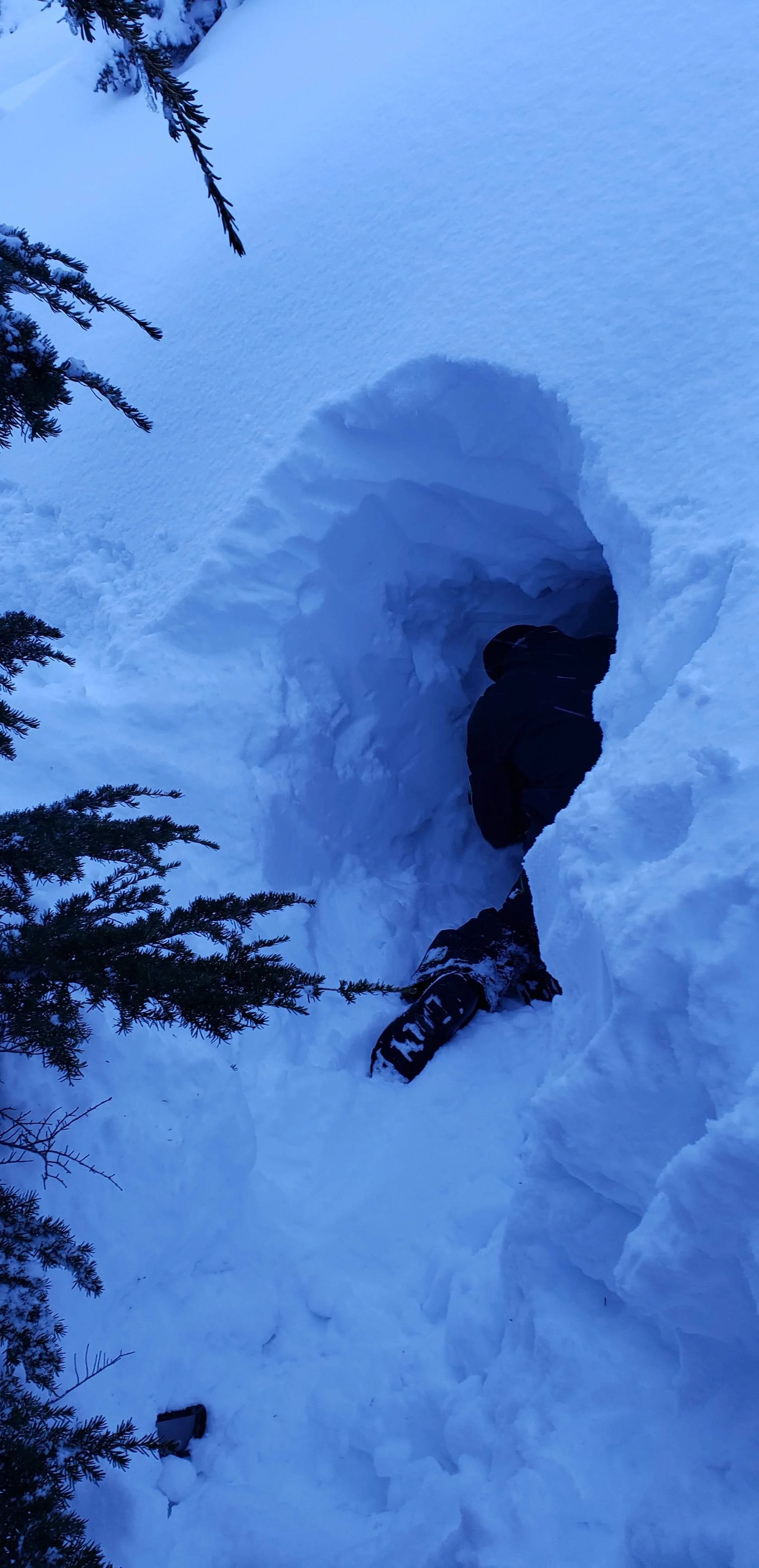 A Horrible Night Out