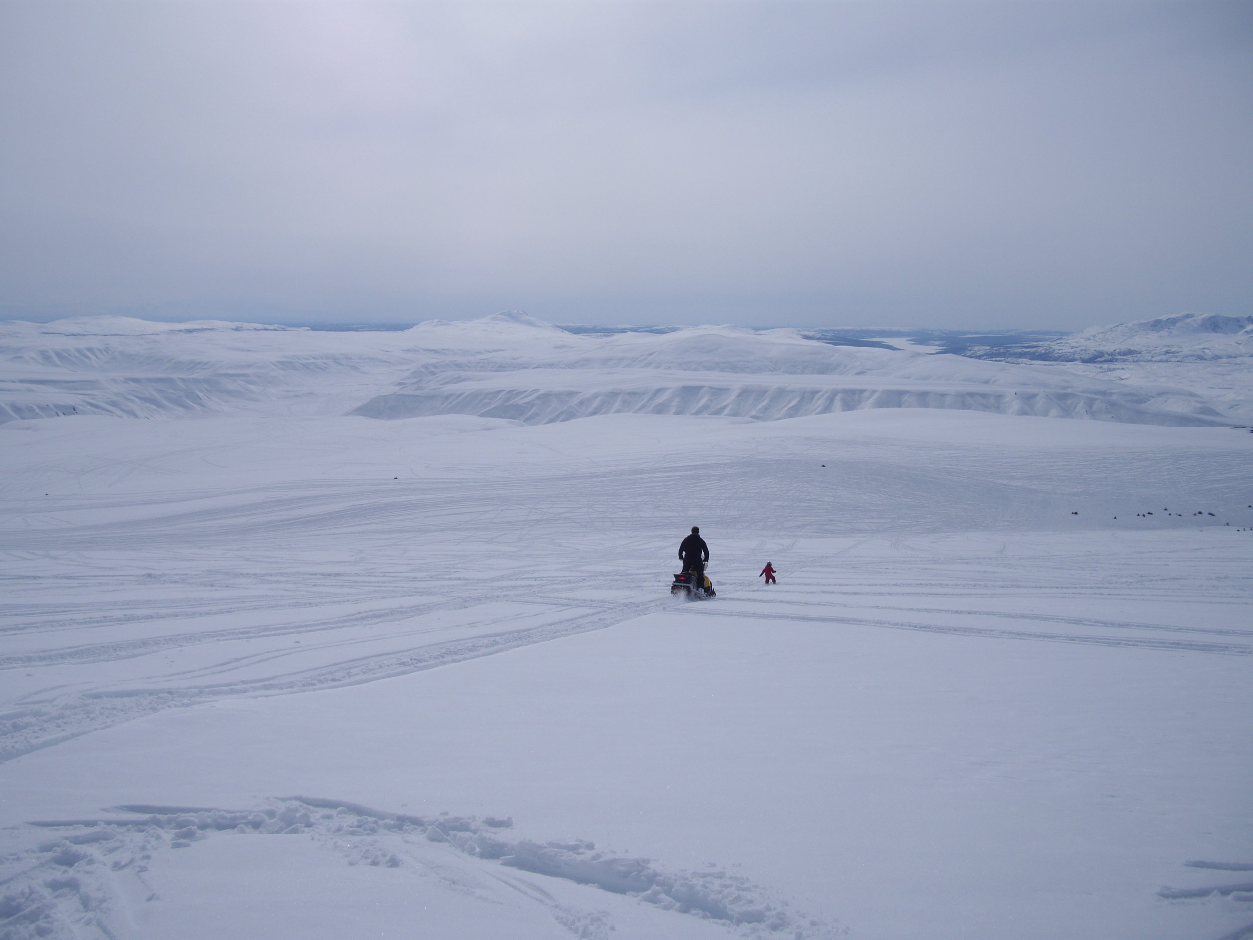 A Horrible Night Out