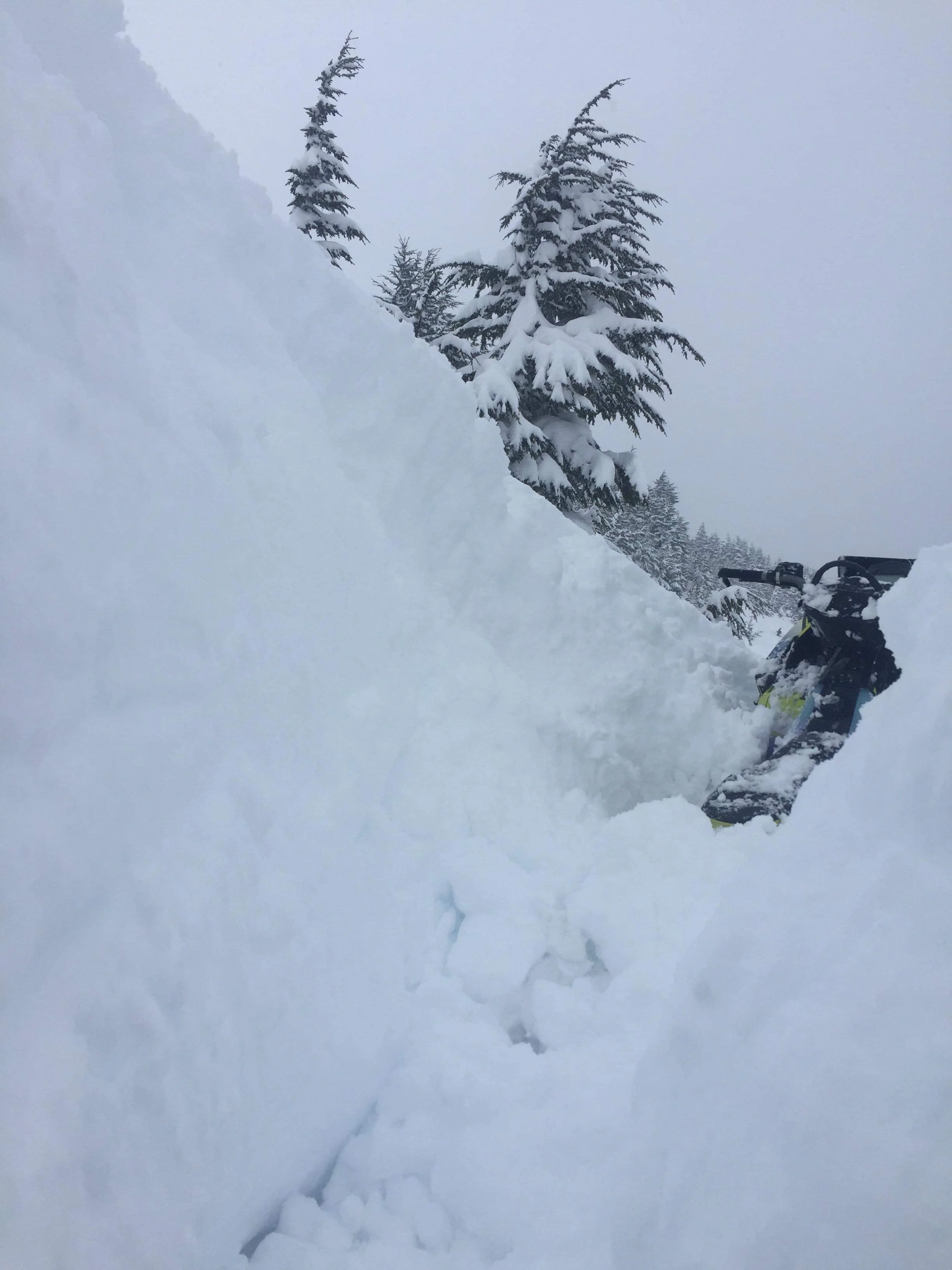 A Horrible Night Out