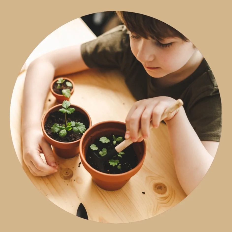 Dive into Summer Learning