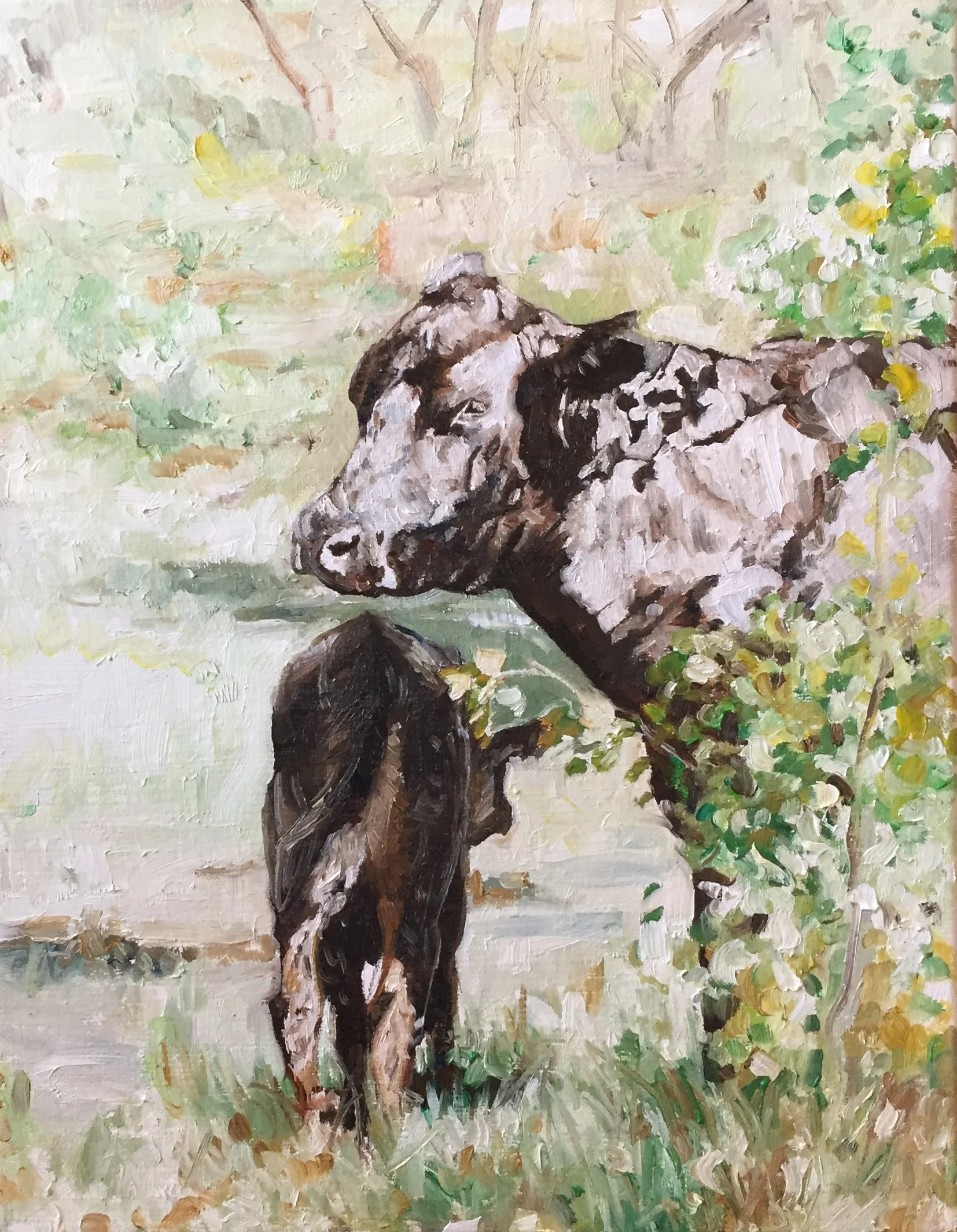 Paintings — Jessica Gilbert