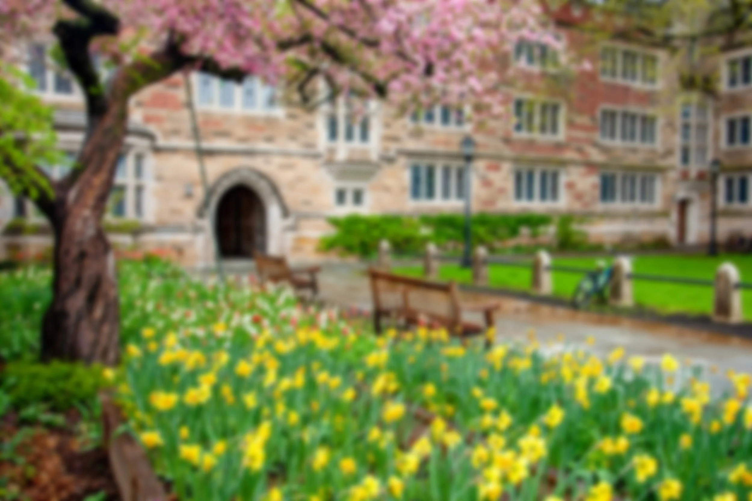 Yale Investments Office