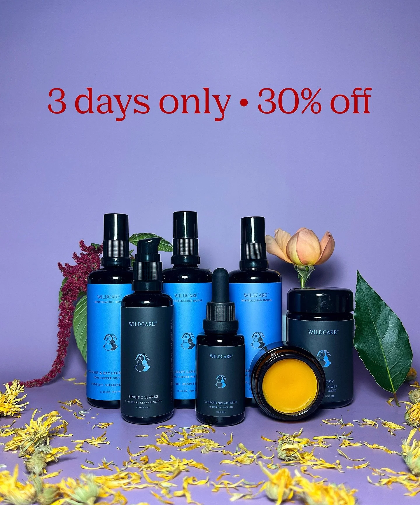 Wildcare ® Custom Hydrosol Distillations. Essential-Oil-Free Skincare