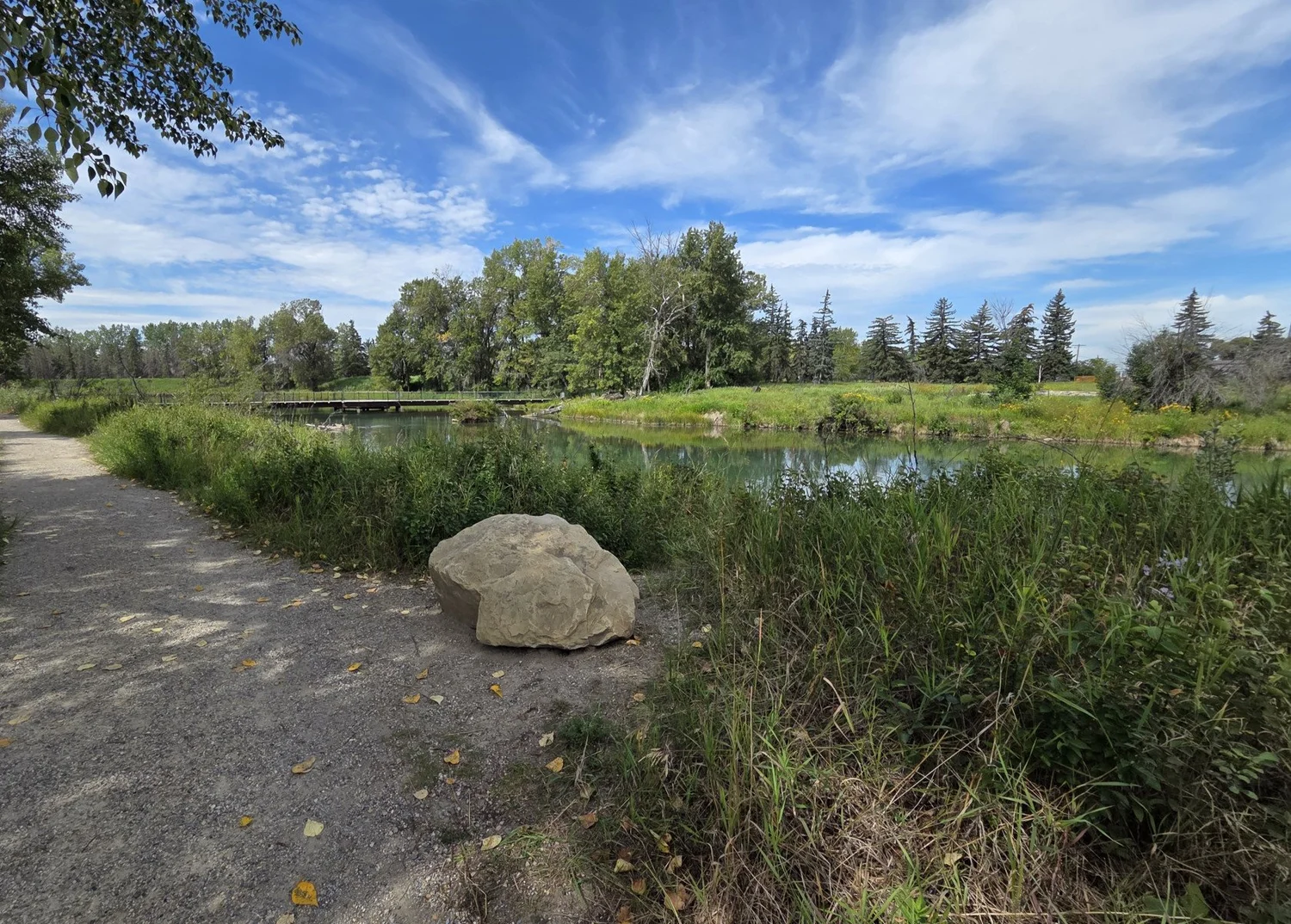 Take a Deep Breath: Calgary’s First Forest Bathing Trail — Ward 9 Great ...