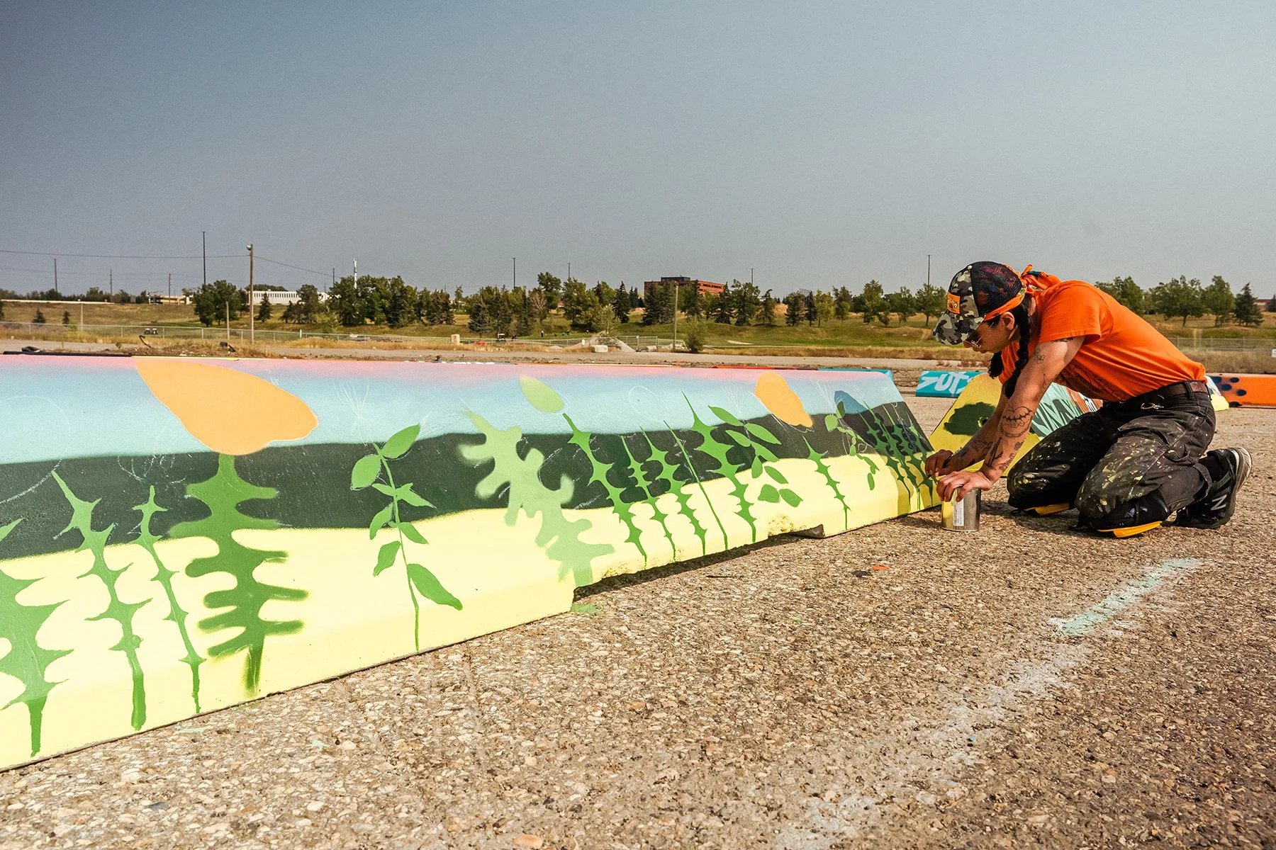 Dover Neighbourhood Streets - BUMP Collaboration — Ward 9 Great ...