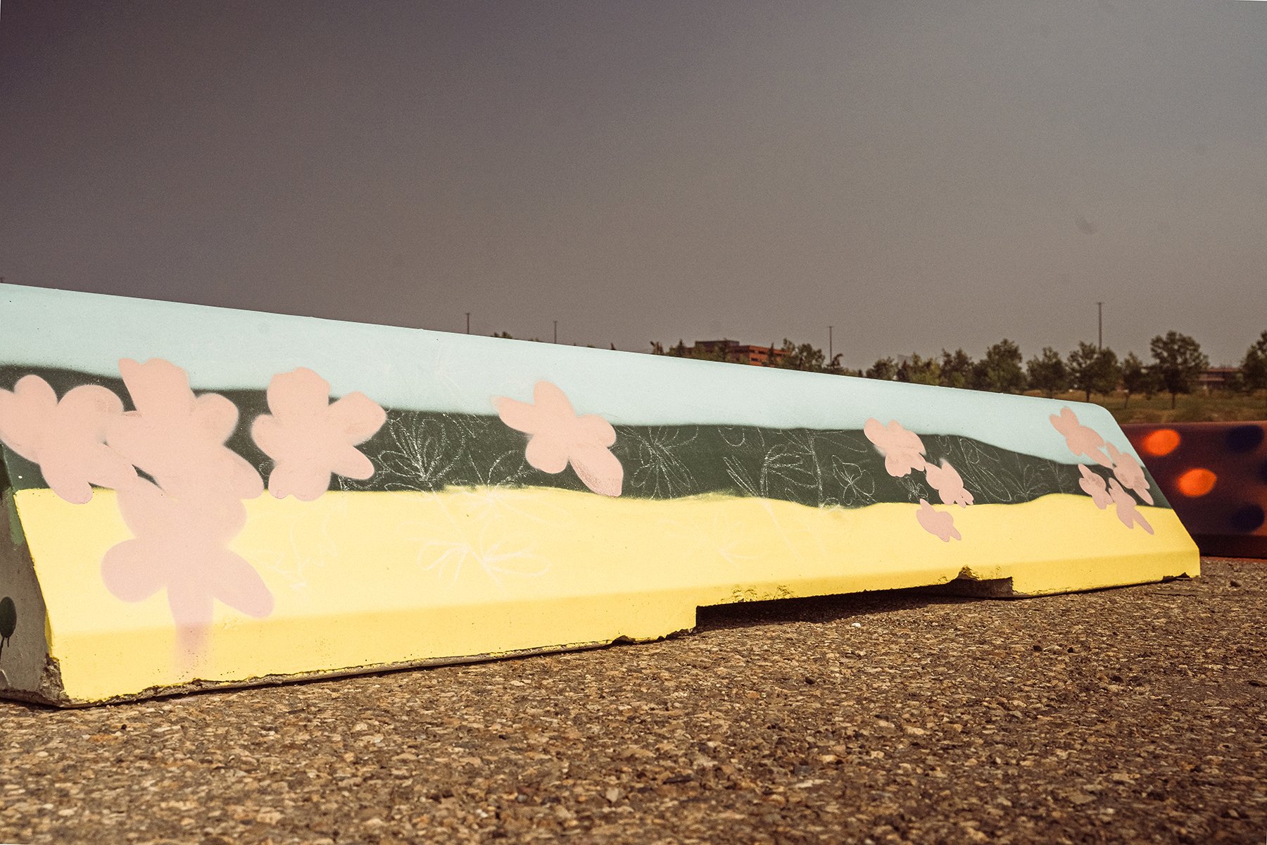 Dover Neighbourhood Streets - BUMP Collaboration — Ward 9 Great ...