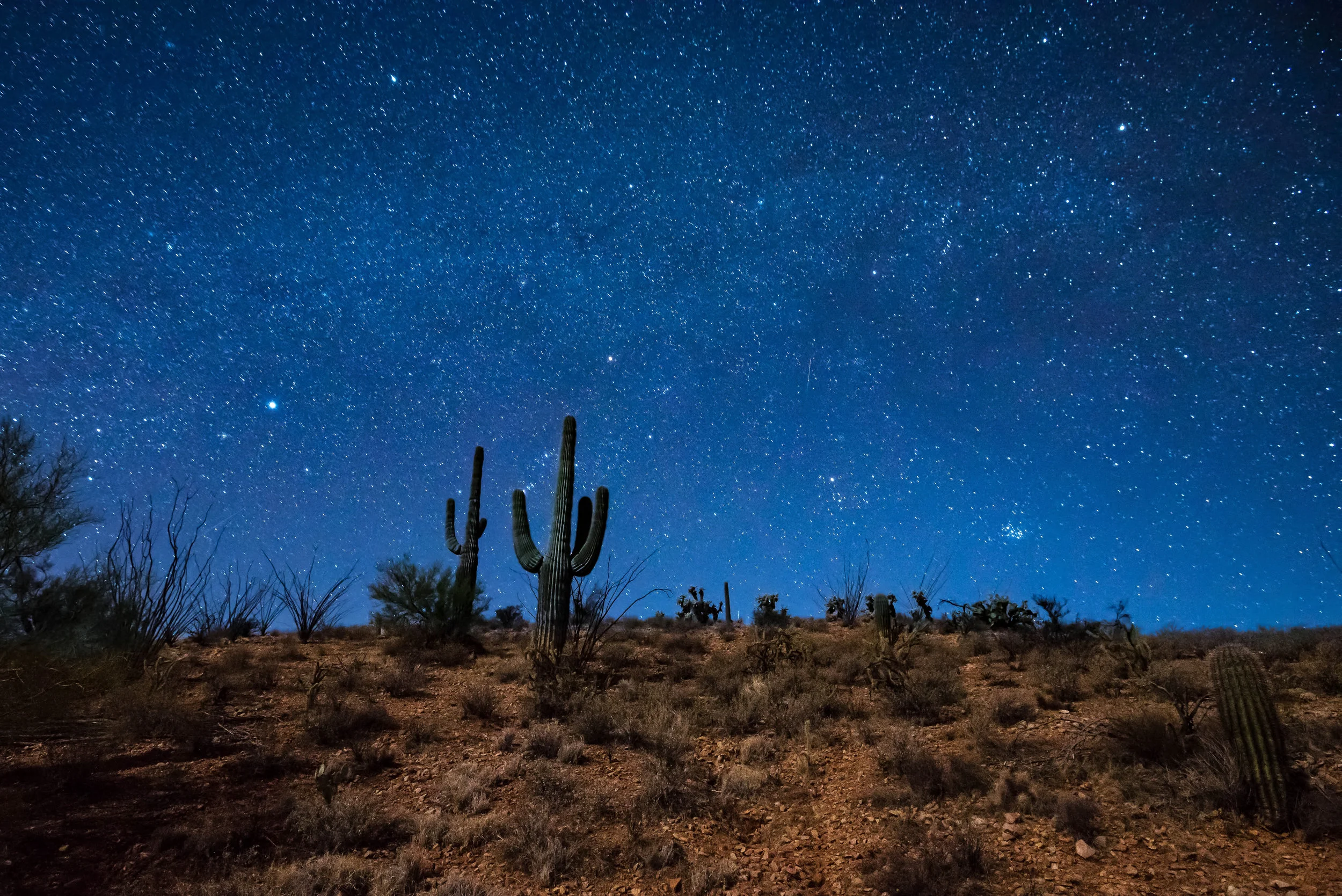 David O'Dell Photography